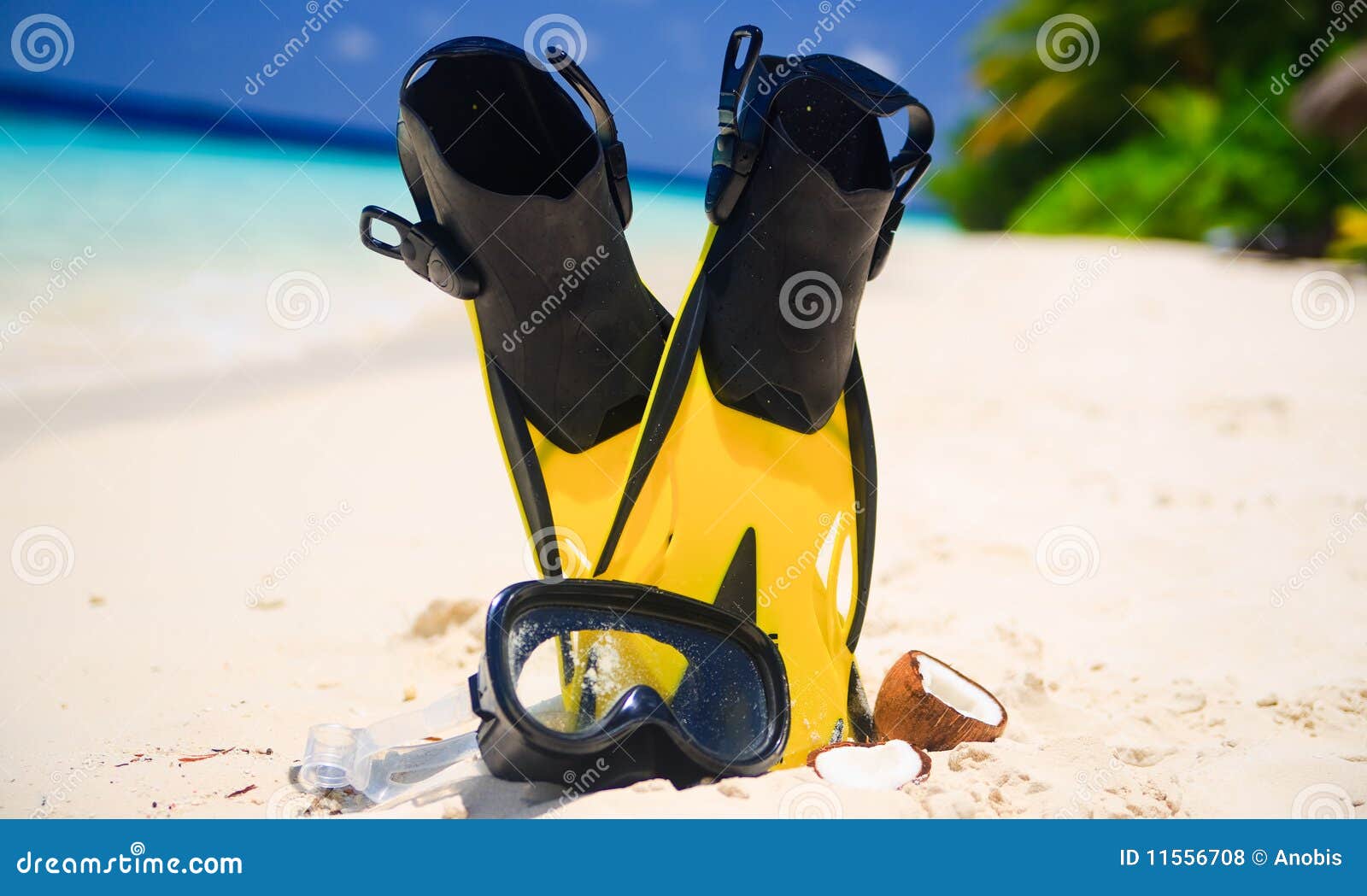 Diving Mask with Fins on Beach Stock Photo - Image of sports, scuba ...