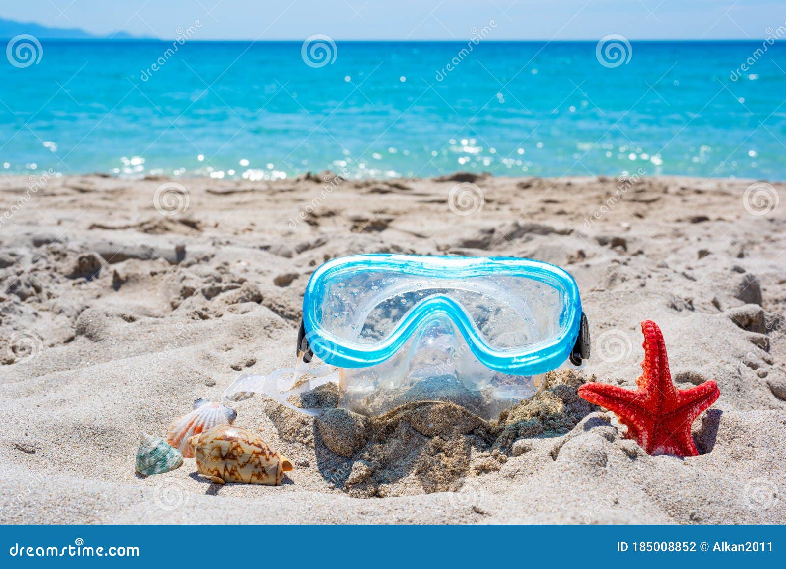 Diving Mask and Shells on the Beach Stock Photo - Image of outdoor ...