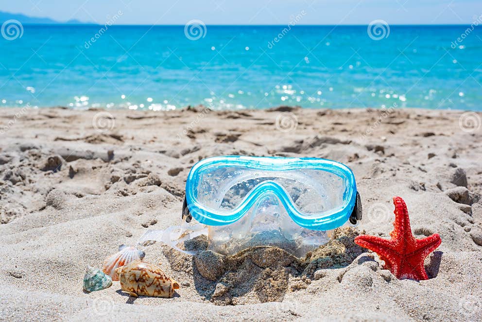 Diving Mask and Shells on the Beach Stock Photo - Image of outdoor ...