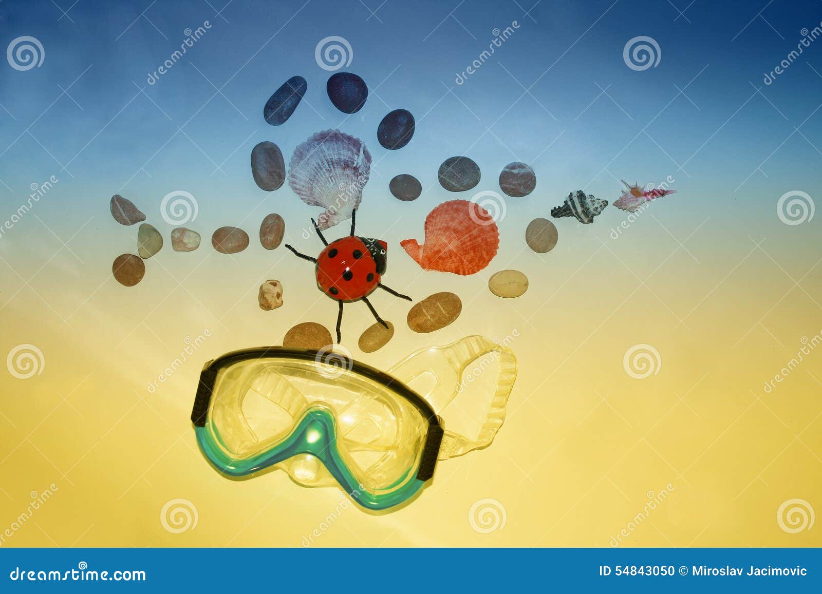 Diving Mask and Shells for Exotic Stock Photo - Image of elements ...