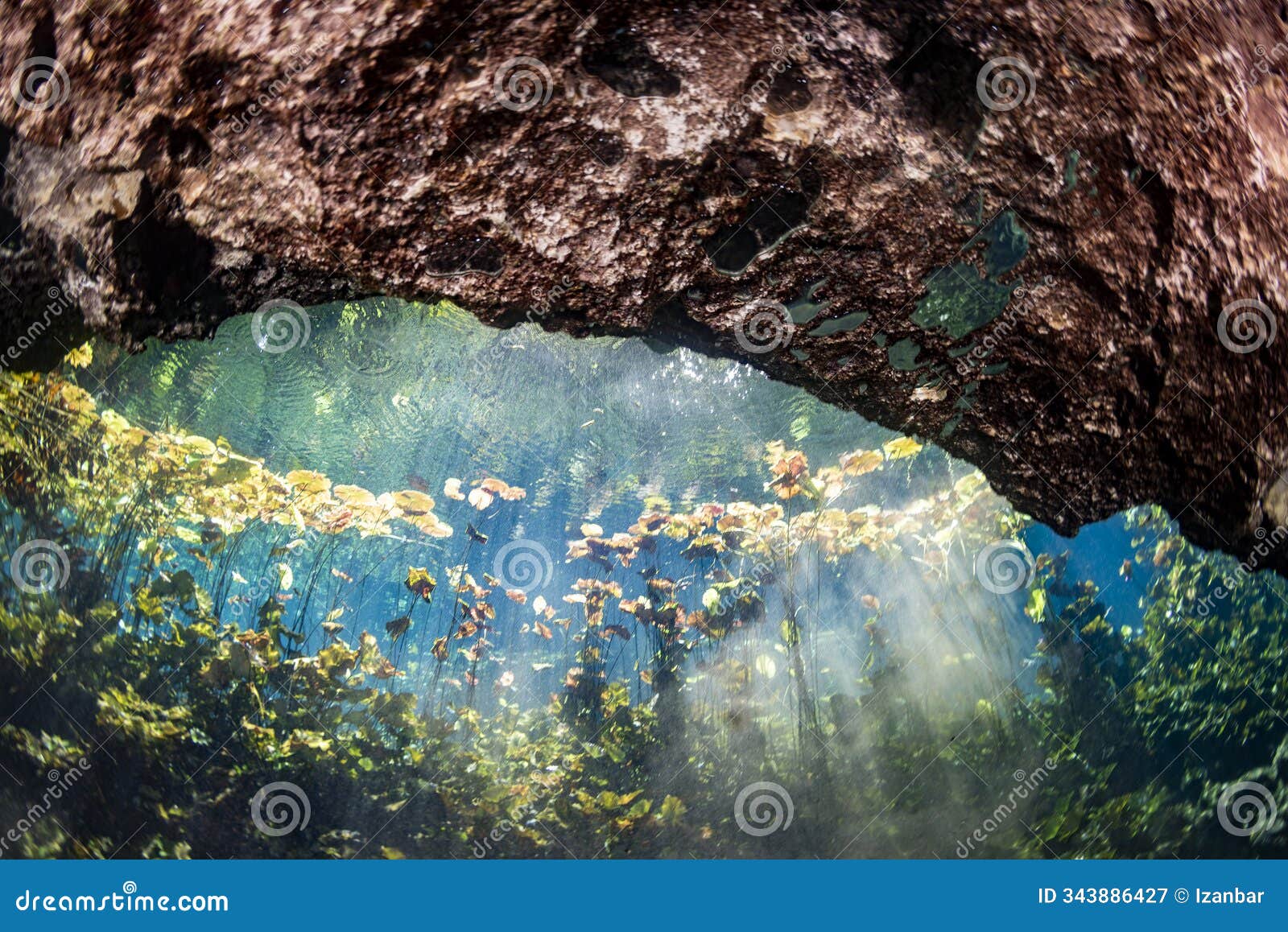 Diving in Mexican Cenote Underwater Cave Stock Illustration ...
