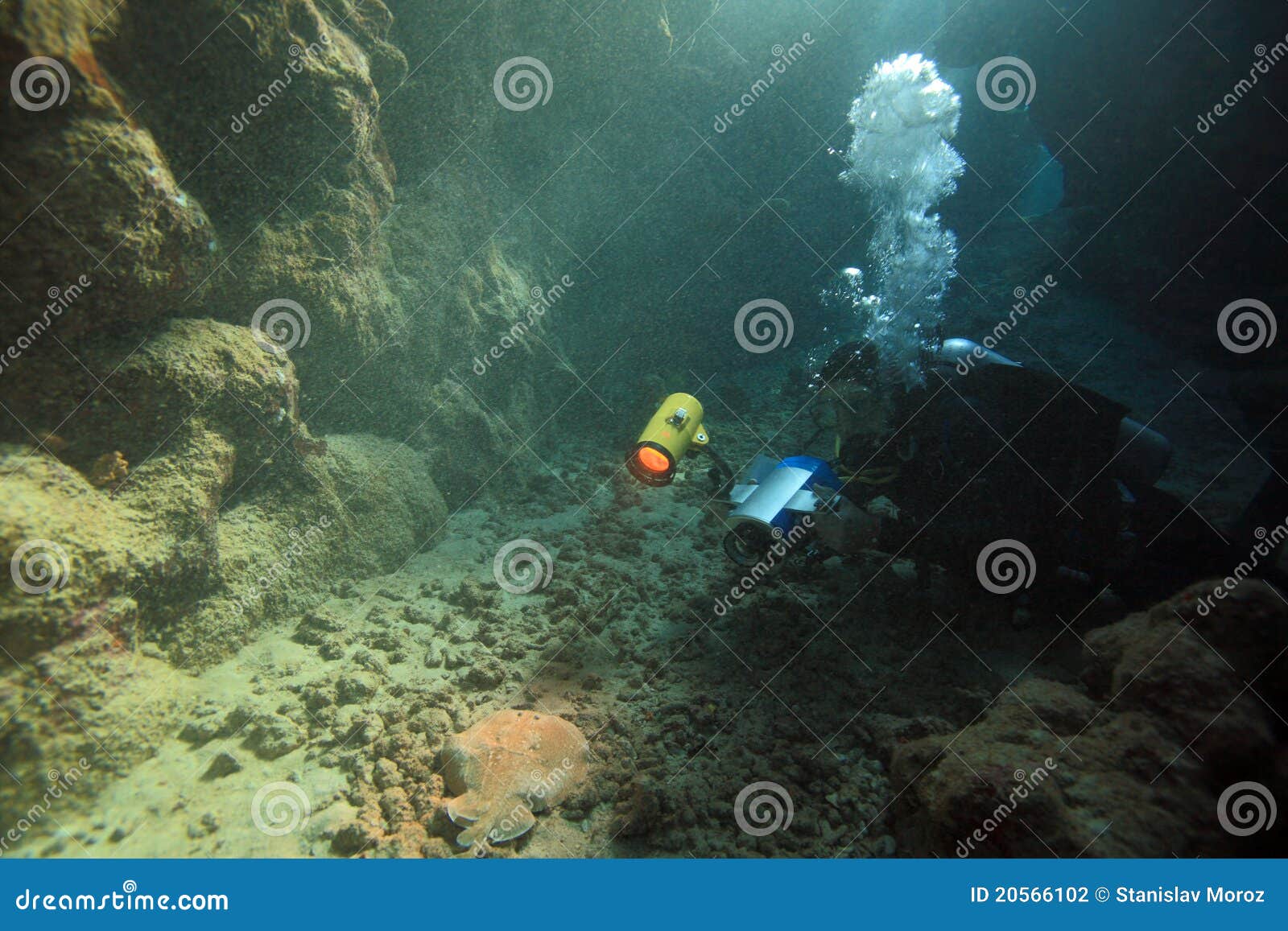 Diving in the Red Sea stock photo. Image of depth, scuba - 20566102