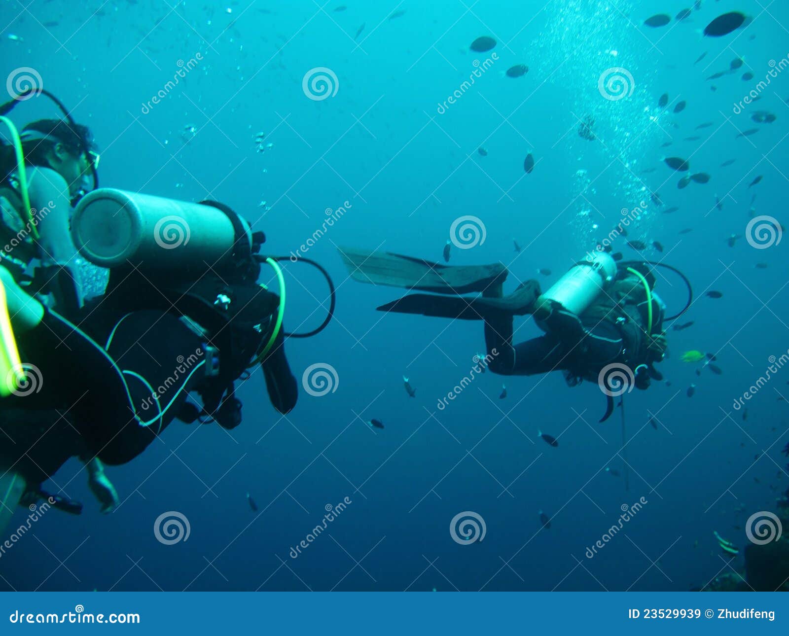 Diving in sea stock image. Image of nature, aquatic, undersea - 23529939