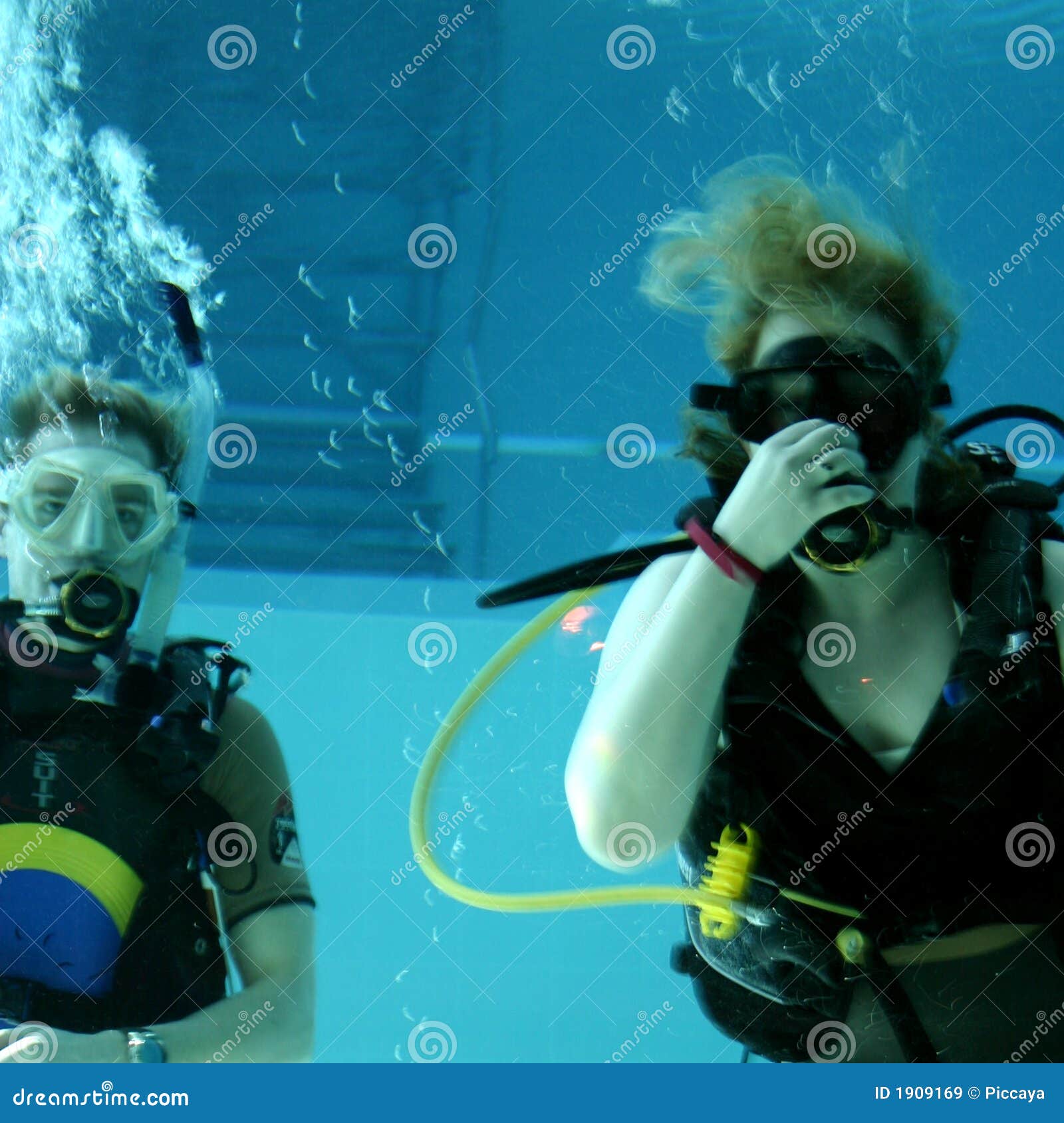 Diving swimming pool stock image. Image of watery, test - 1909169
