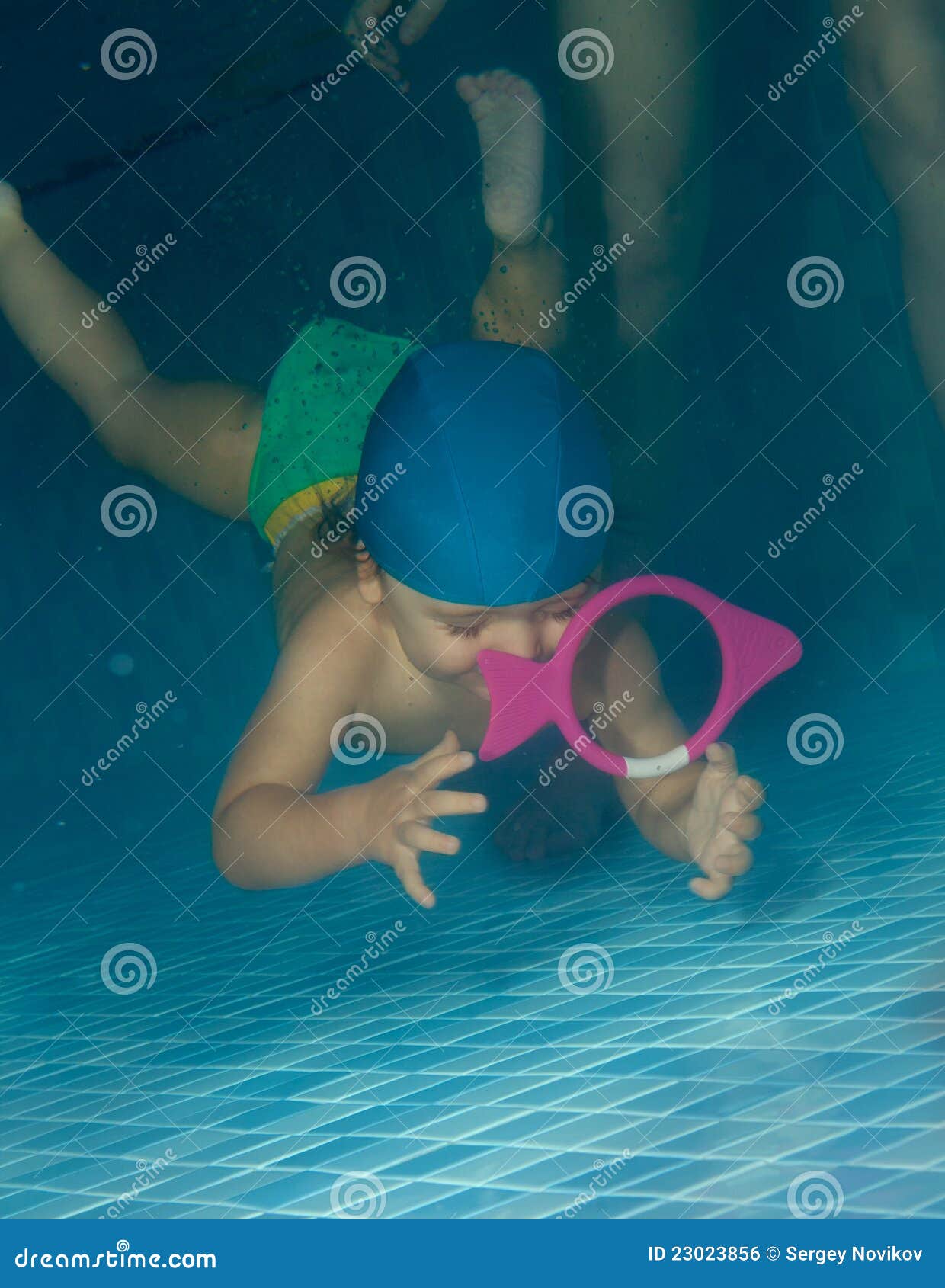 Diving to catch a toy stock photo. Image of exercises - 23023856