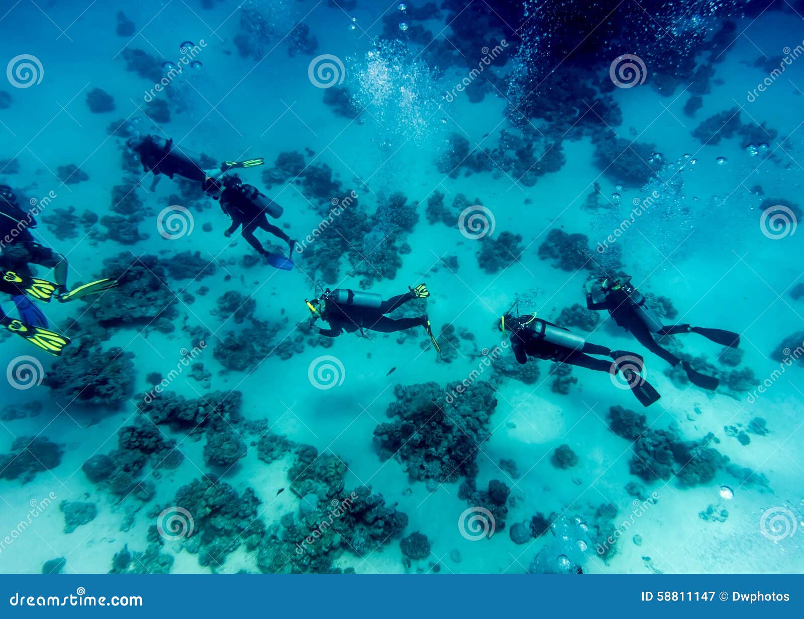 Diving Trip at the Bottom of the Ground Stock Image - Image of egypt ...