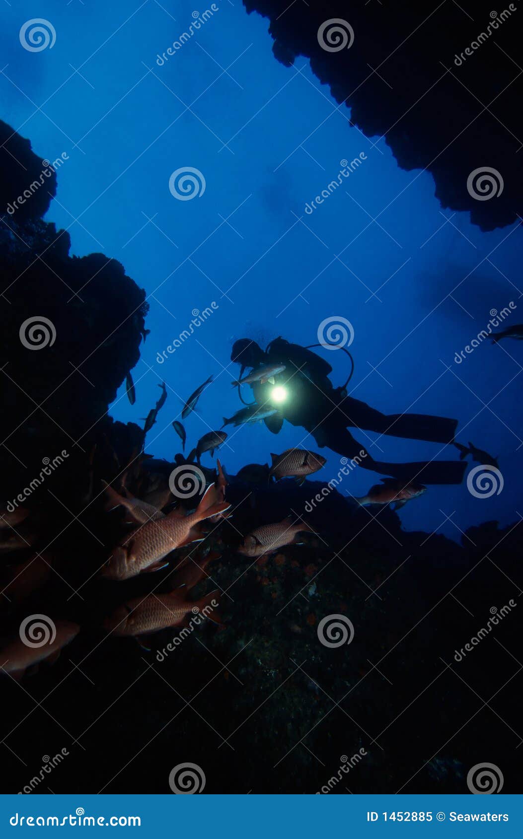 Diving Under Water stock image. Image of torch, marine - 1452885