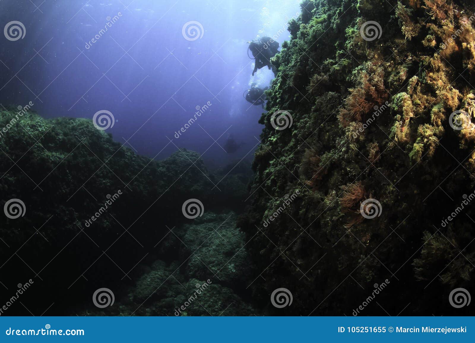 Diving in Underwater Cave - Majorca Stock Image - Image of marine, cave ...