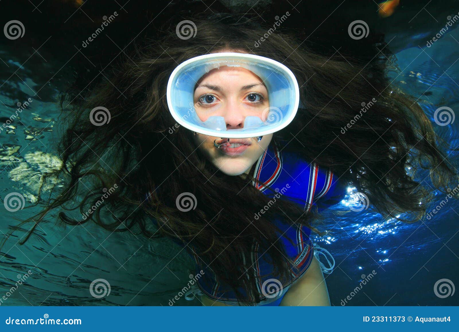 Diving woman stock image. Image of beauty, attractive - 23311373