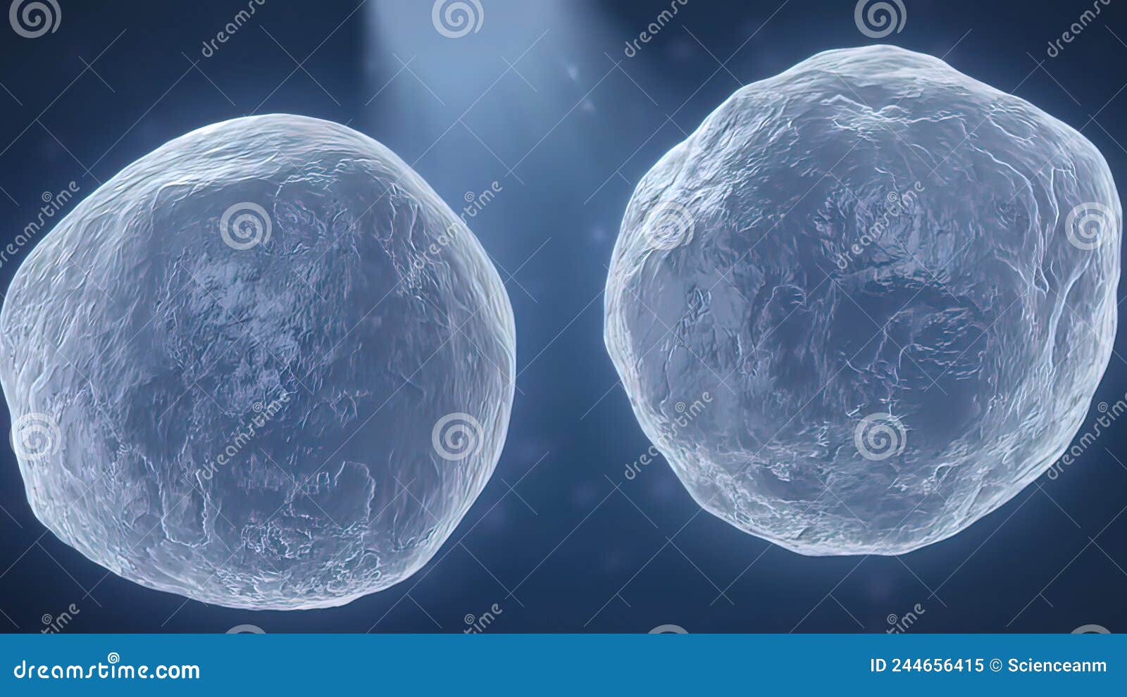 Division of Cells 3d Medical Illustration Stock Illustration ...