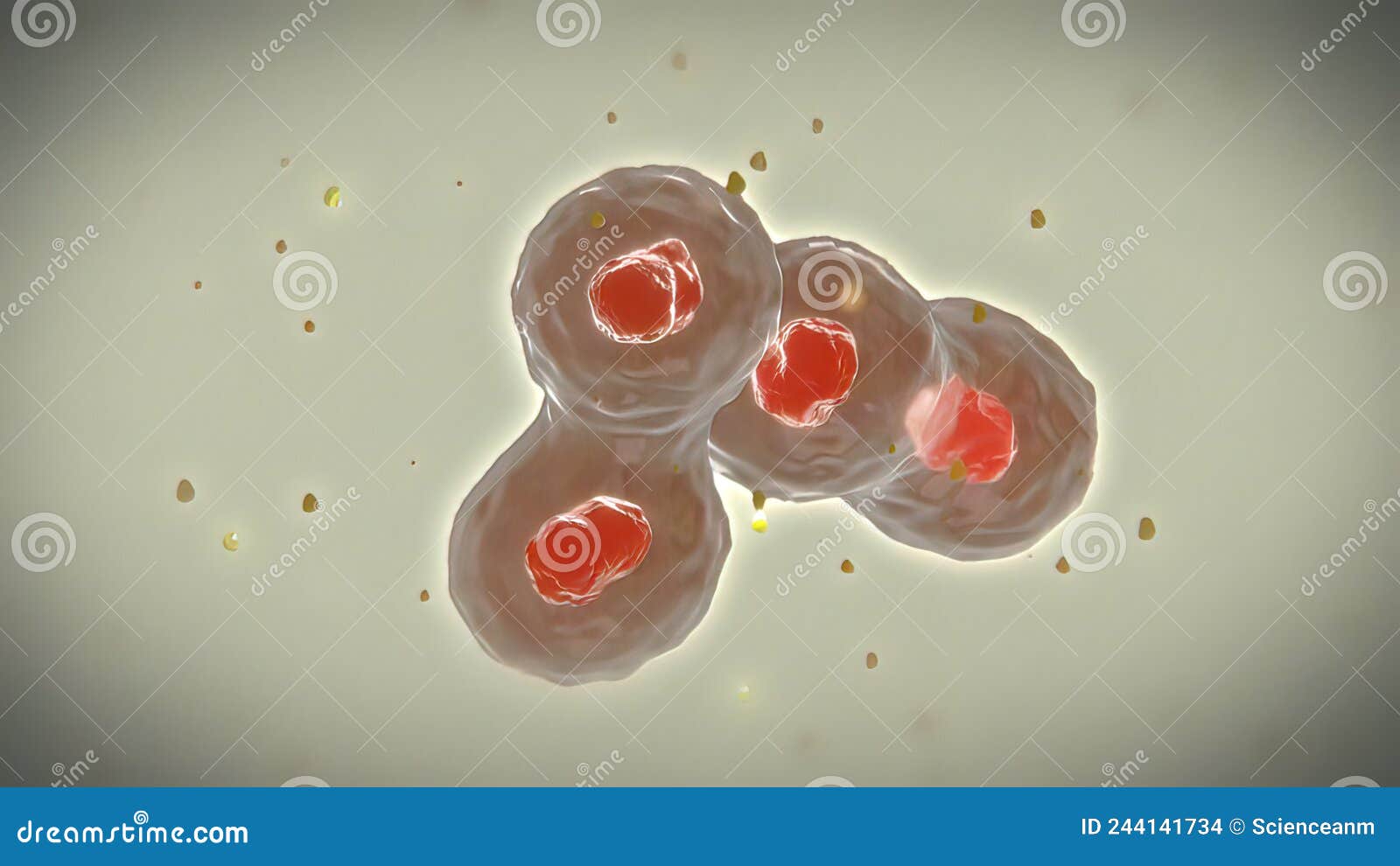 Division Cellulaire Ou Cellules De Clonage Illustration Stock ...