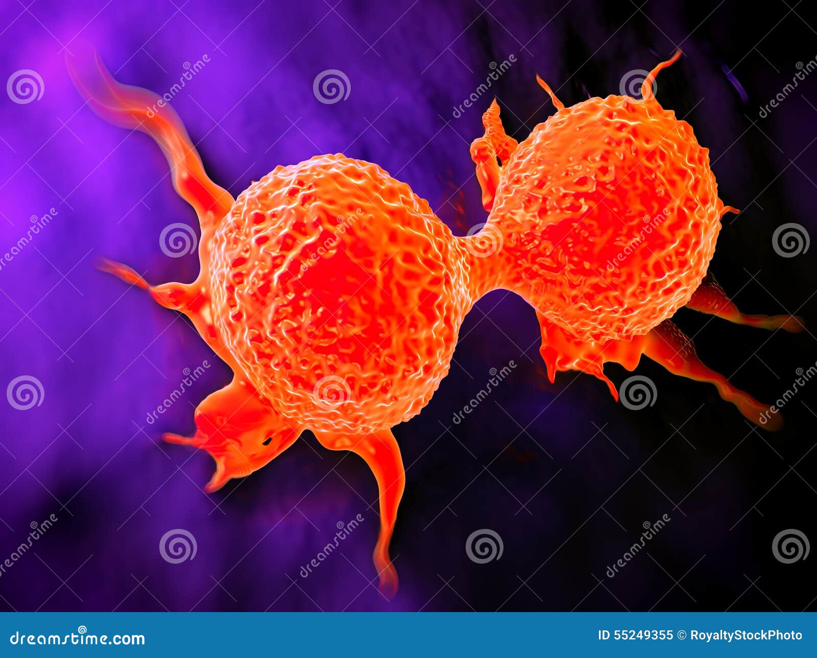 Division De La Cellule De Cancer Du Sein Illustration Stock ...