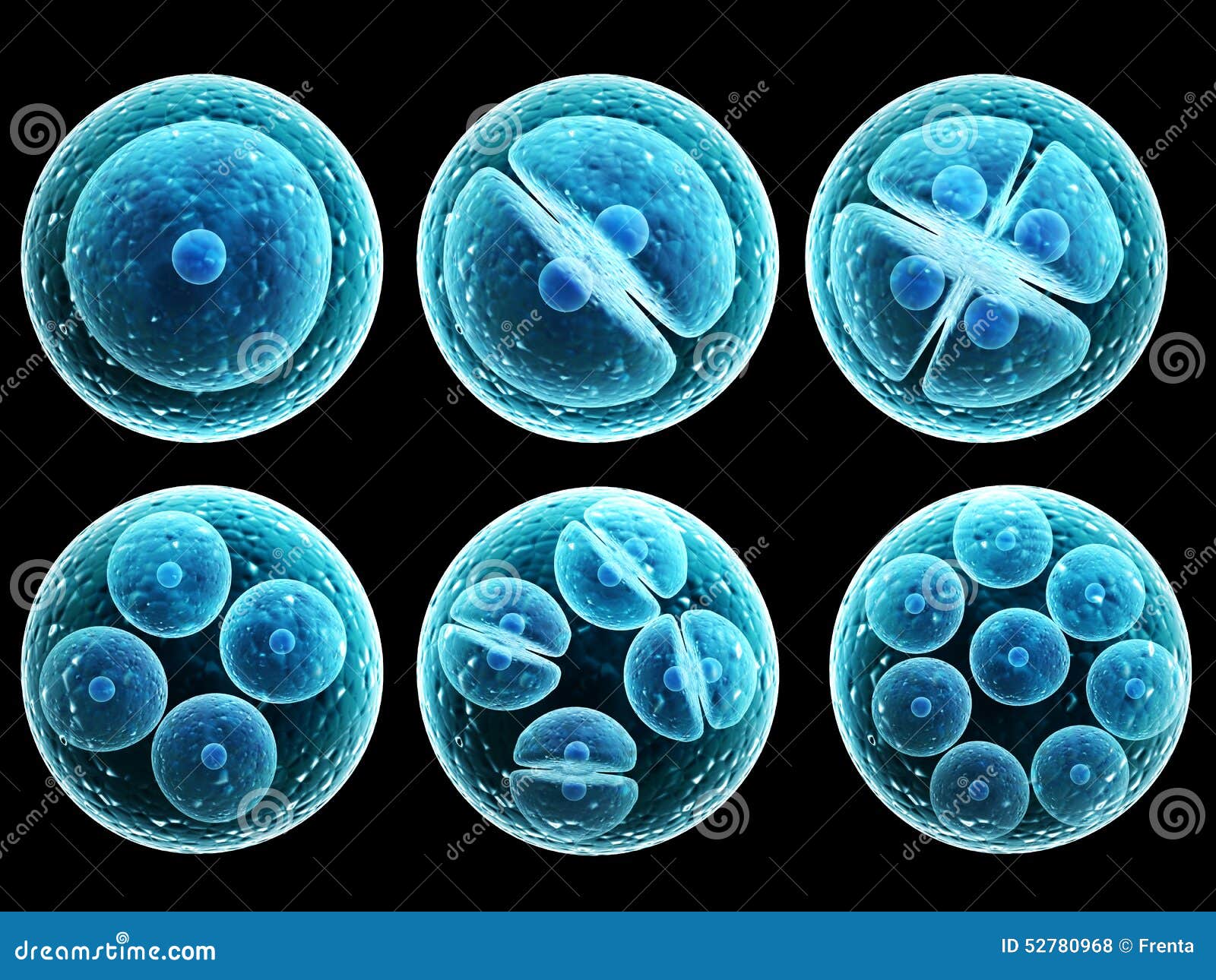 Division De Processus De Cellule Illustration Stock - Illustration du ...