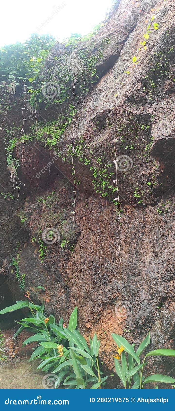 Diwar Island One of the Most Unique Places in Goa Stock Image - Image ...