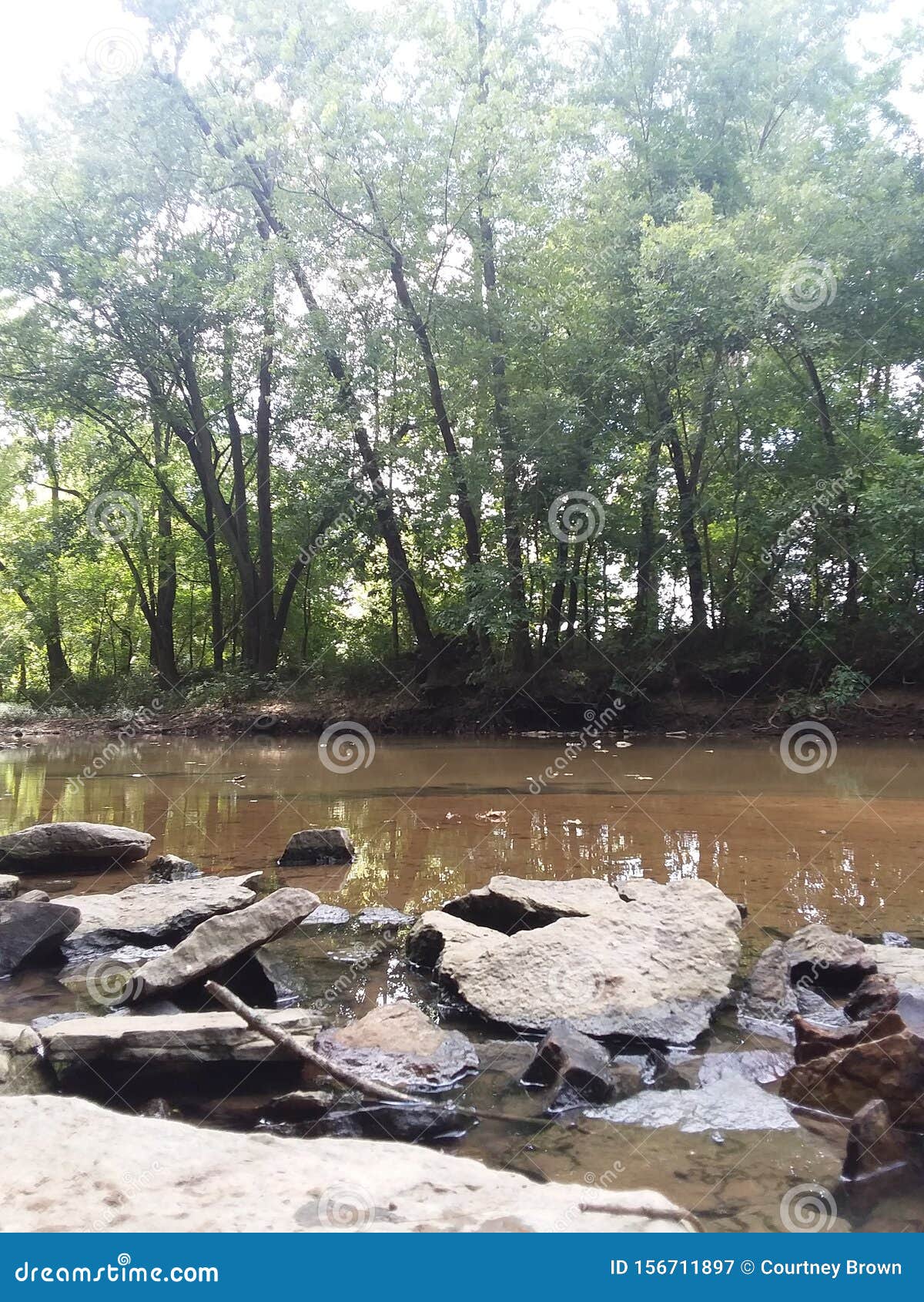 Dix River stock image. Image of calming, river, beautiful - 156711897