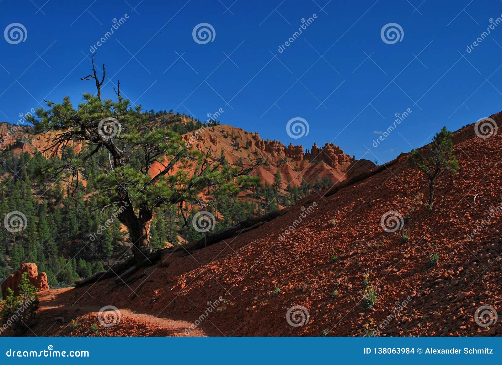 Dixie, National Forest, Arizona, Usa Stock Photo - Image of river ...