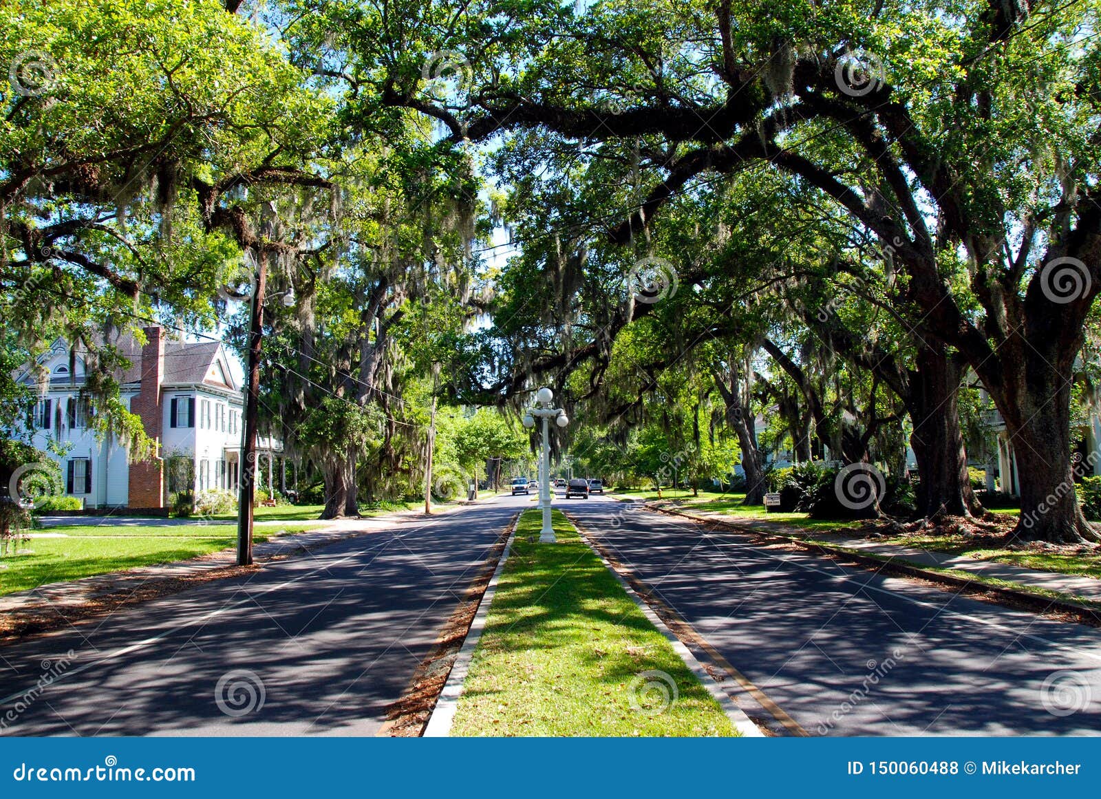 Dixie stock photo. Image of street, autumn, spring, nature - 150060488