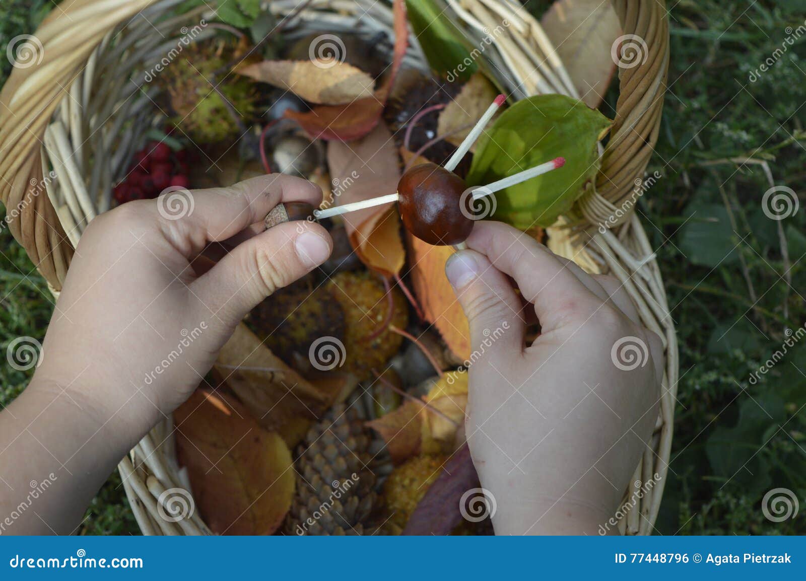 DIY: animals with acorn stock photo. Image of fruit, september - 77448796