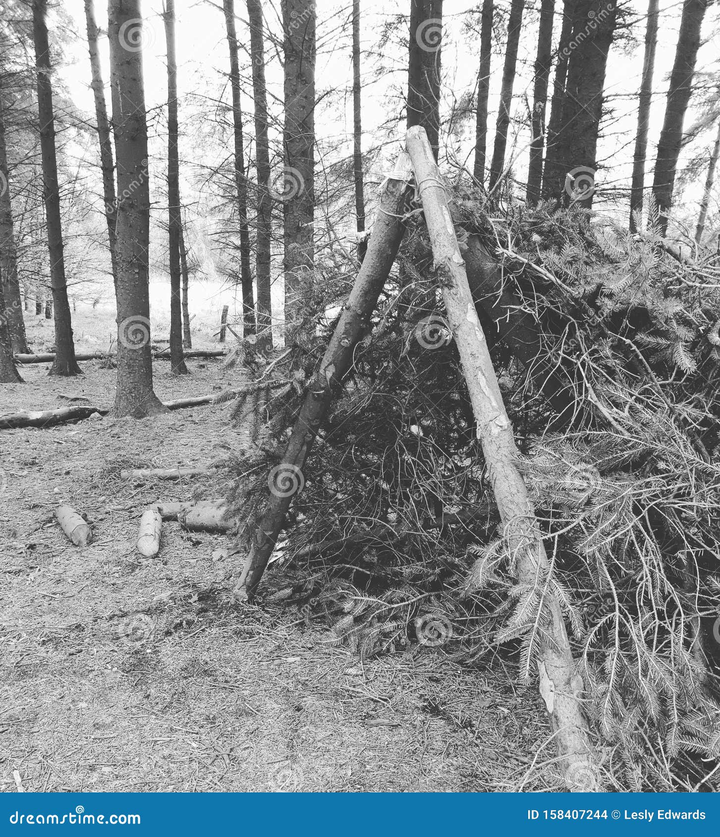 DIY Den stock photo. Image of camping, forest, build - 158407244