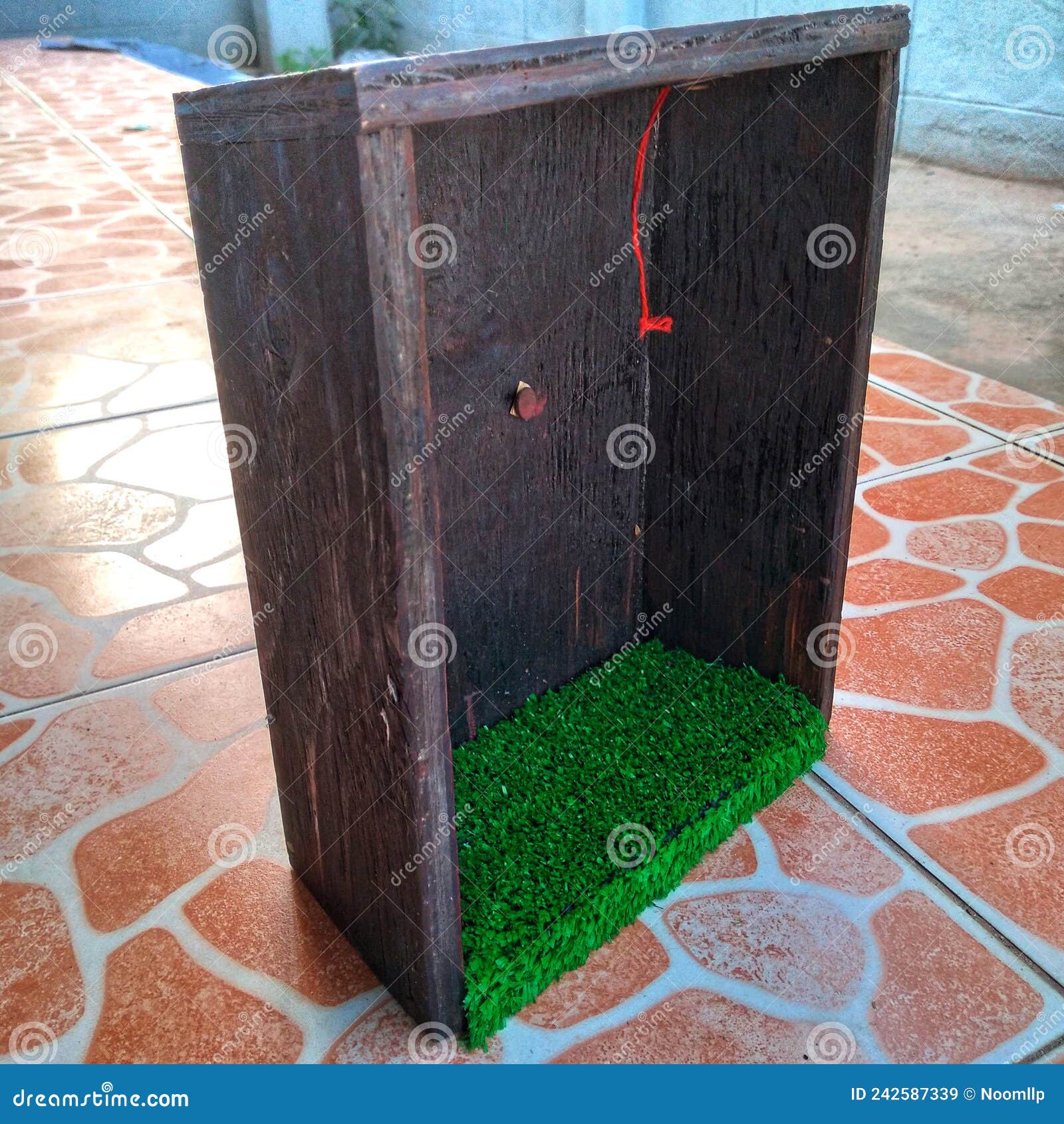 DIY Display Wood Grass Shelf Stock Image - Image of wood, shelf: 242587339