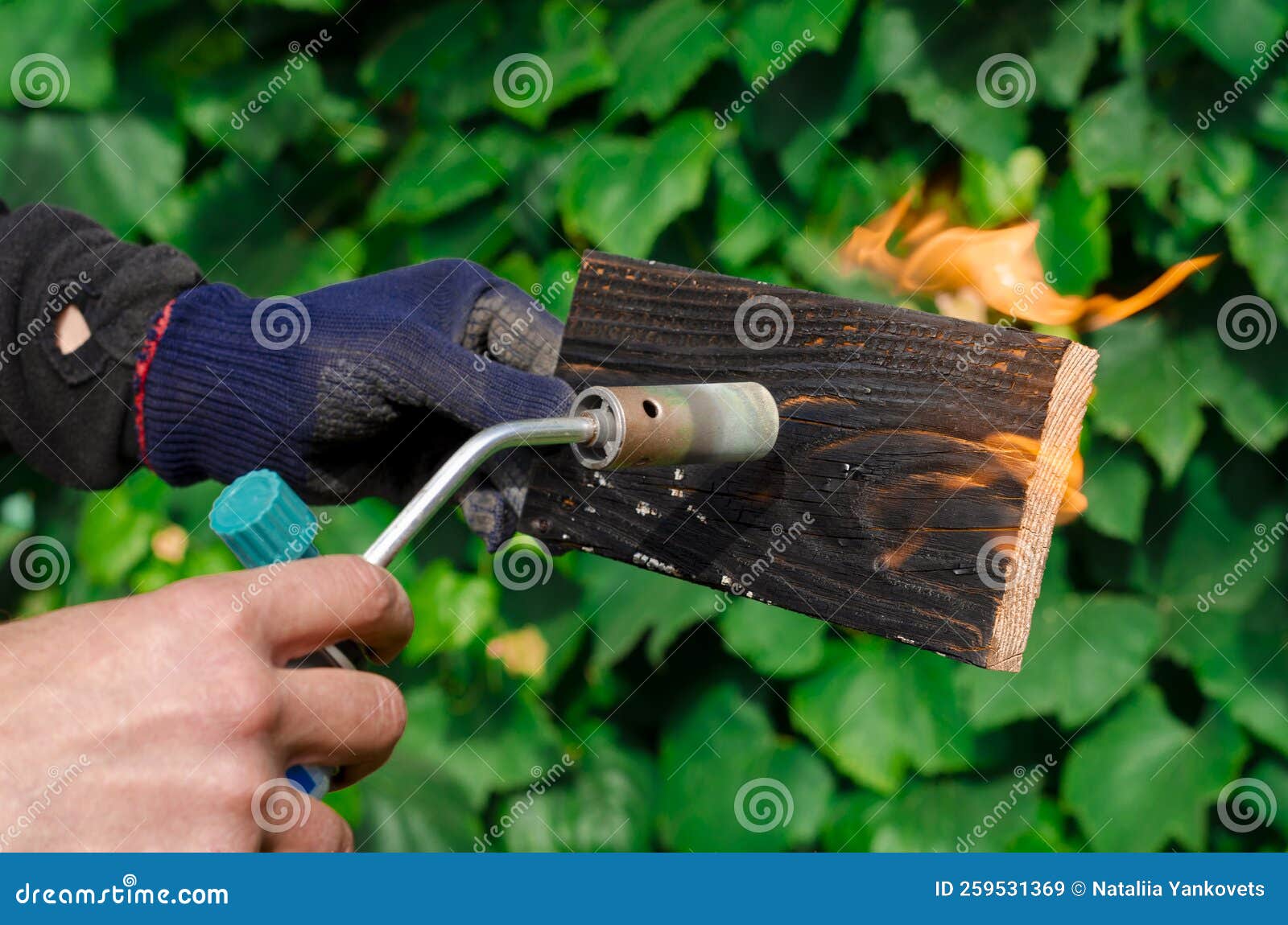 DIY Process. Wood Treatment with Gas Burner Fire Stock Image - Image of ...