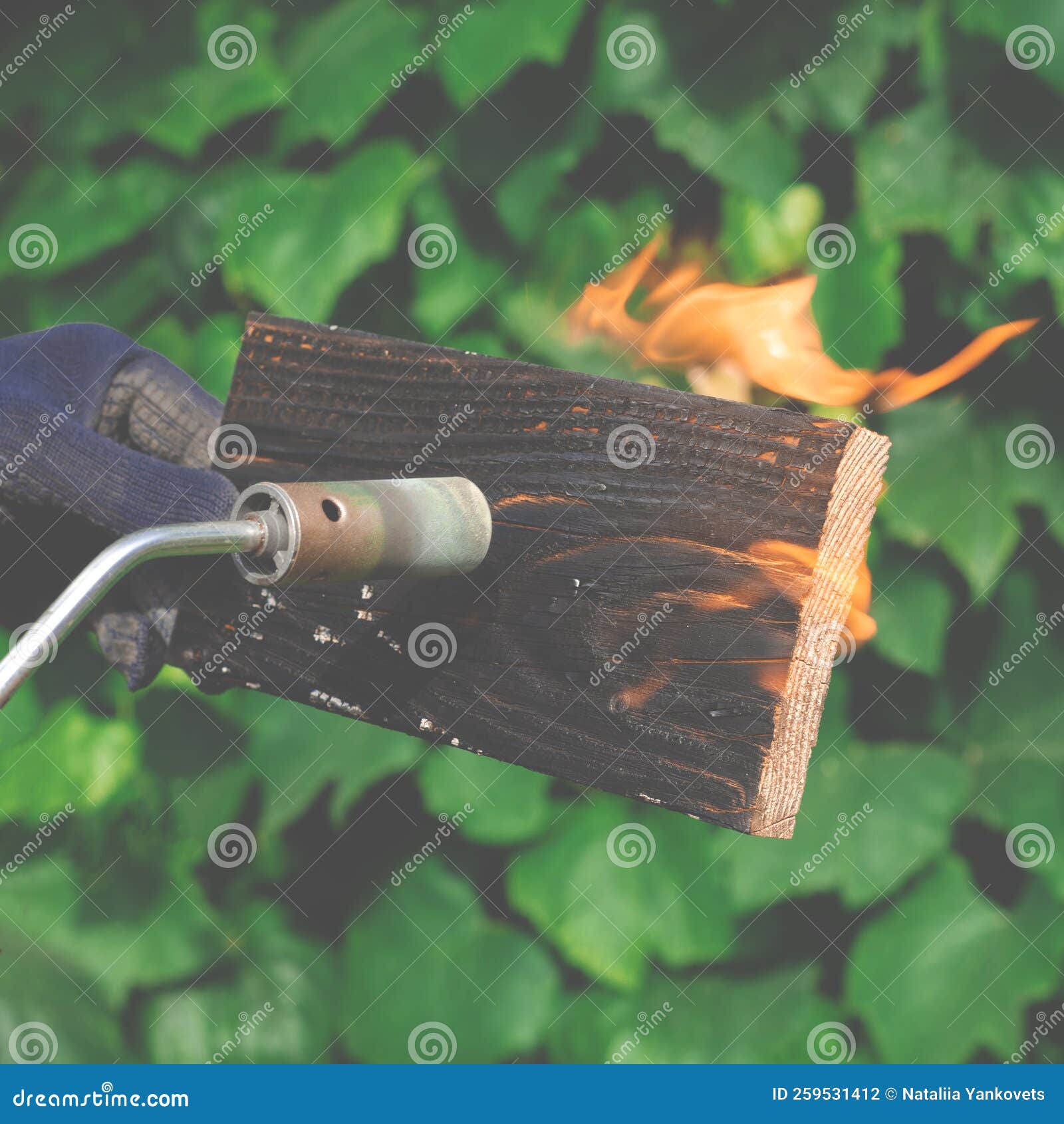 DIY Process. Wood Treatment with Gas Burner Fire Stock Photo - Image of ...