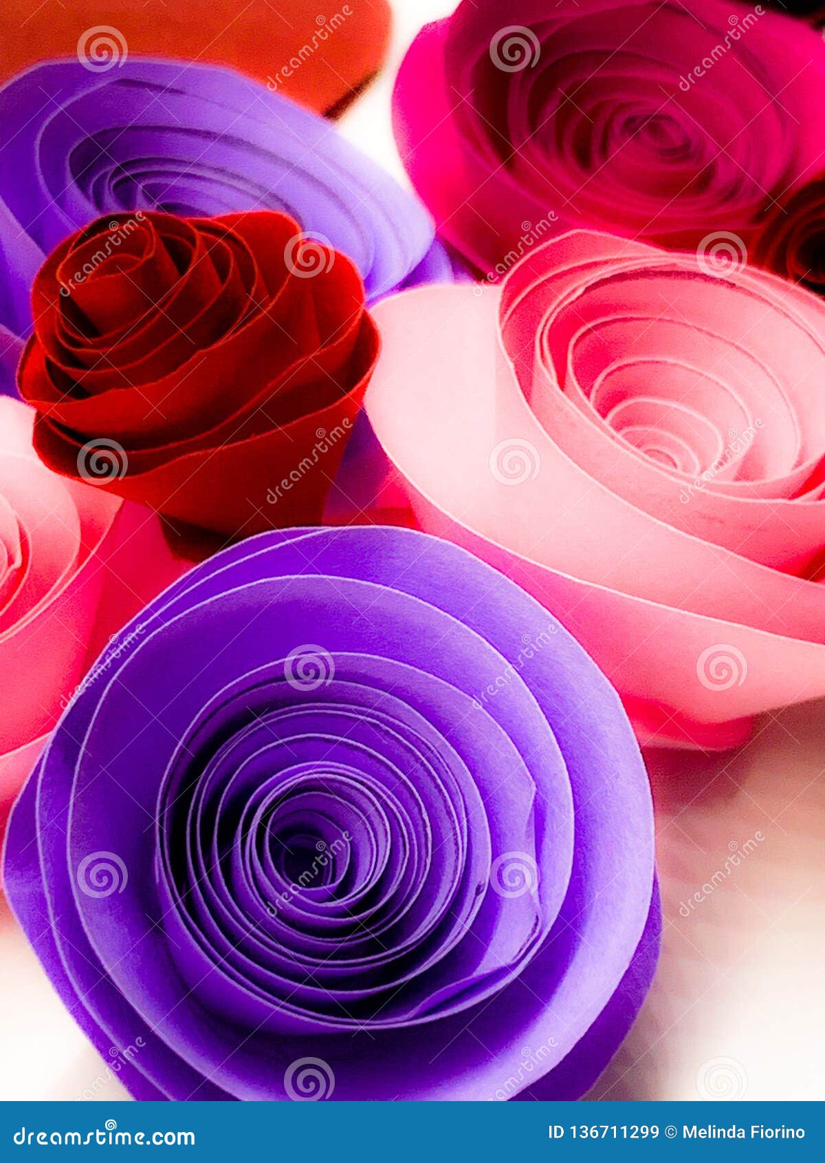 DIY rose stock image. Image of creativity, romance, decorations - 136711299