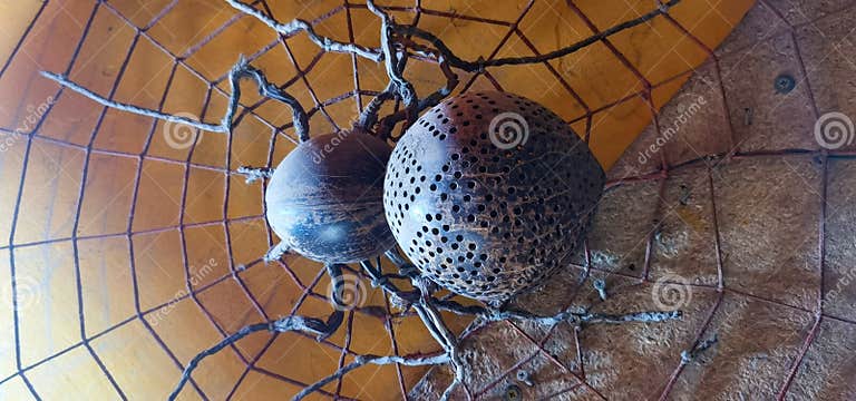 Diy Spider Making from Coconut Stock Image - Image of cocon, blue ...