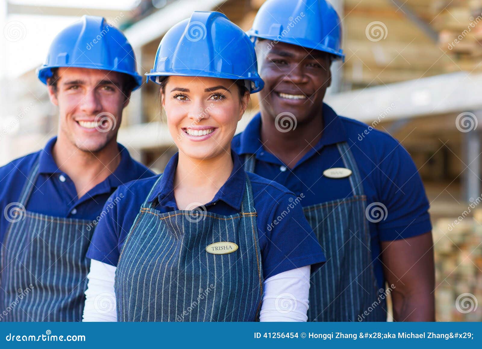 DIY store workers stock photo. Image of multiracial, american - 41256454