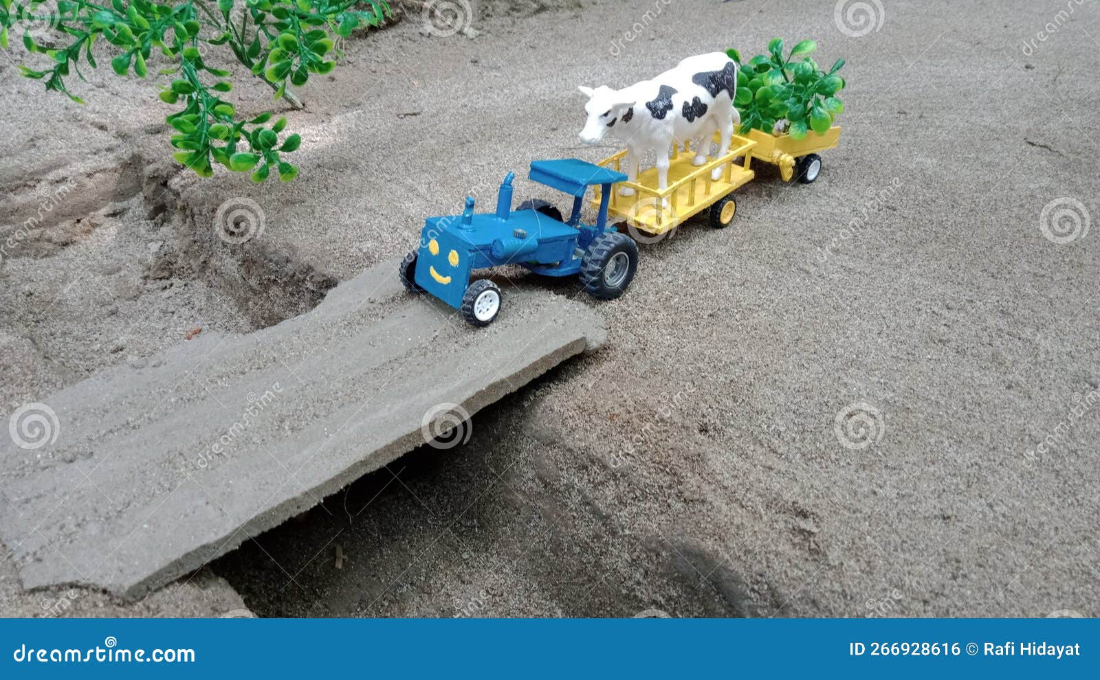 DIY Tractor is Transporting Cows and Their Feed Stock Photo - Image of ...