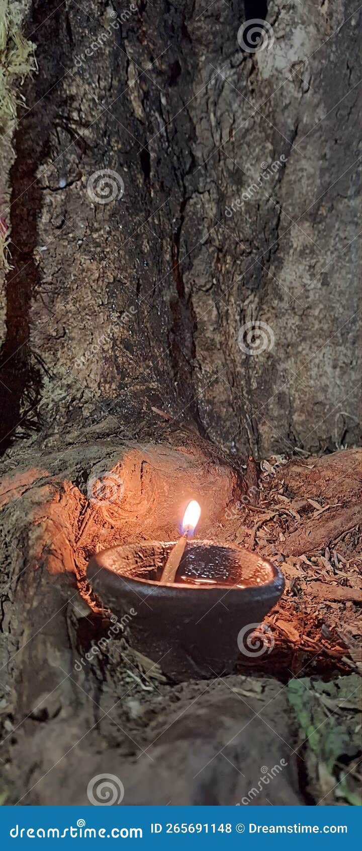 Diya under a tree stock photo. Image of tree, ritual - 265691148