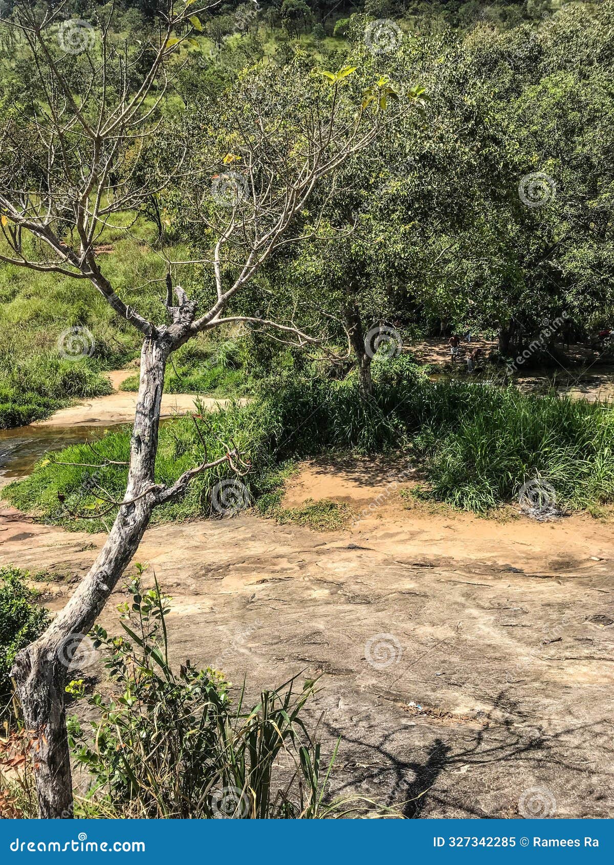 Diyaluma Waterfall Upper Part in Sri Lanka. Stock Image - Image of fall ...