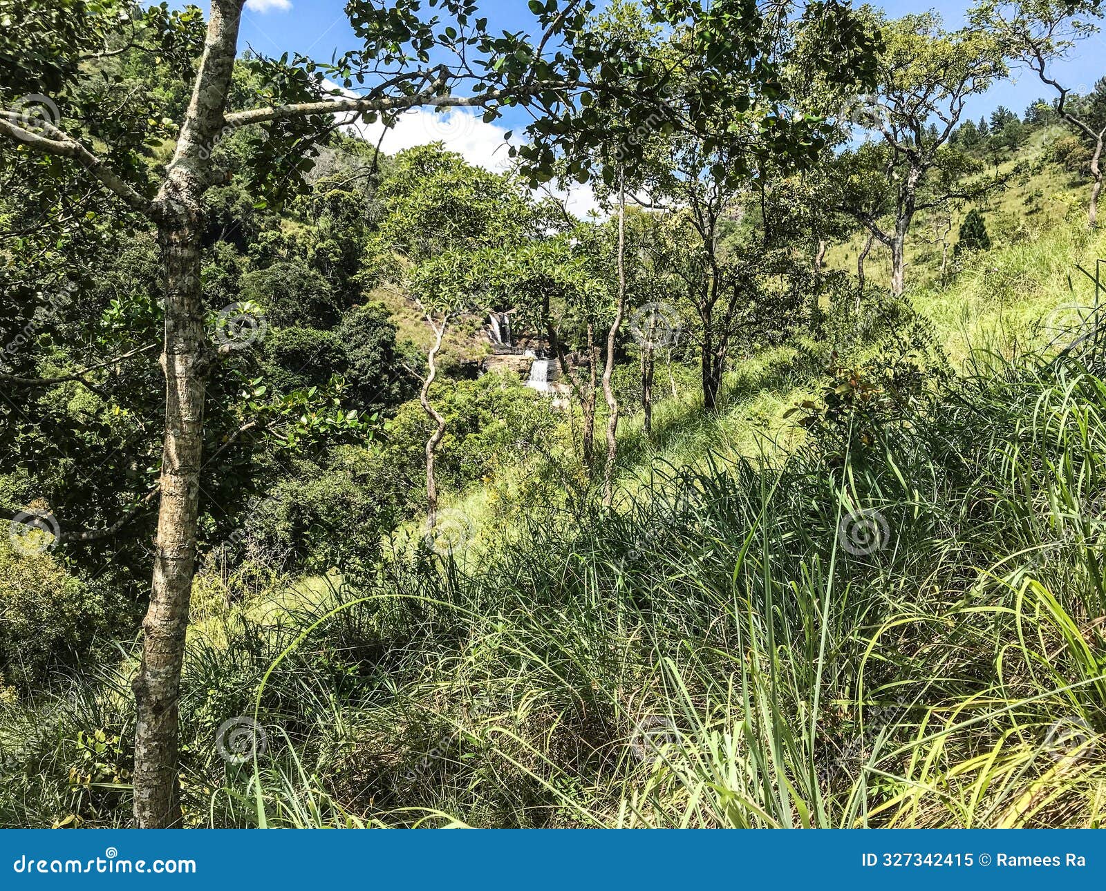 Diyaluma Waterfall Upper Part in Sri Lanka. Stock Image - Image of ...