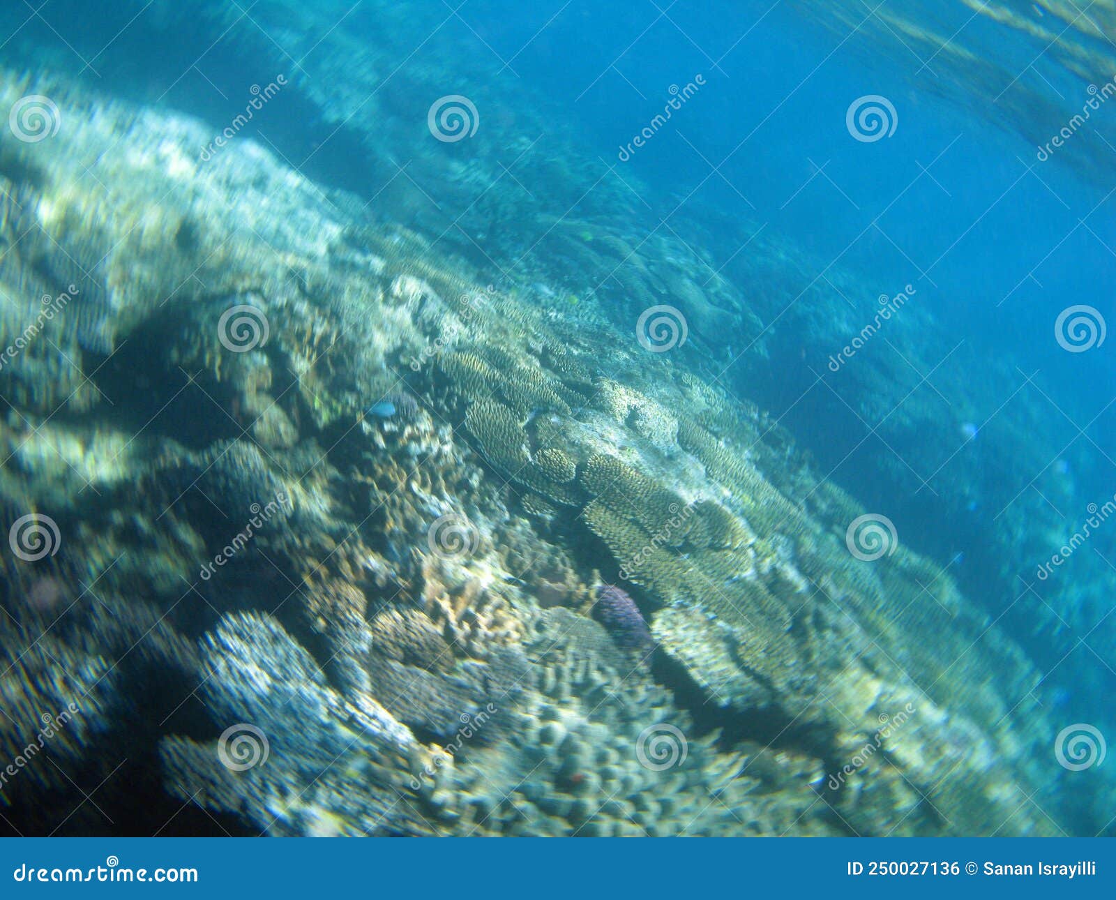 Dizzy Underwater stock photo. Image of underwater, rotate - 250027136