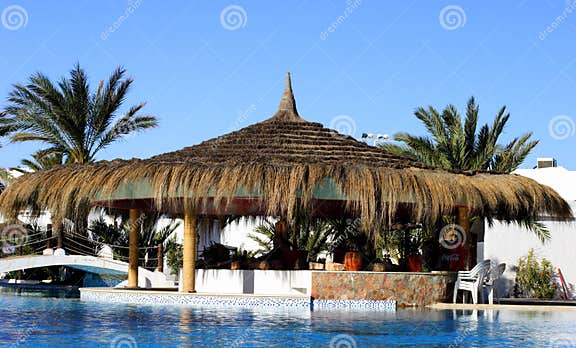 Djerba stock image. Image of sunny, leafs, bark, exotic - 581789