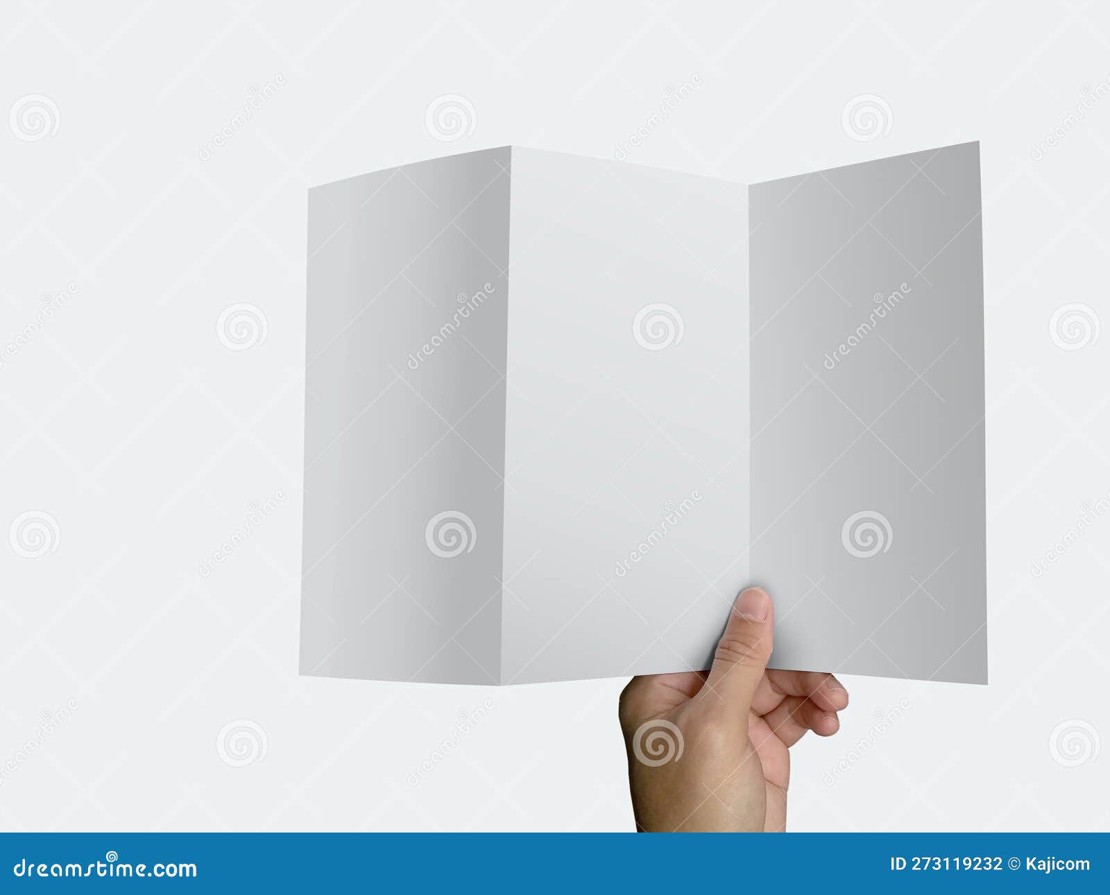 DL Tri-Fold Brochure with Hand Stock Photo - Image of vector, creative ...