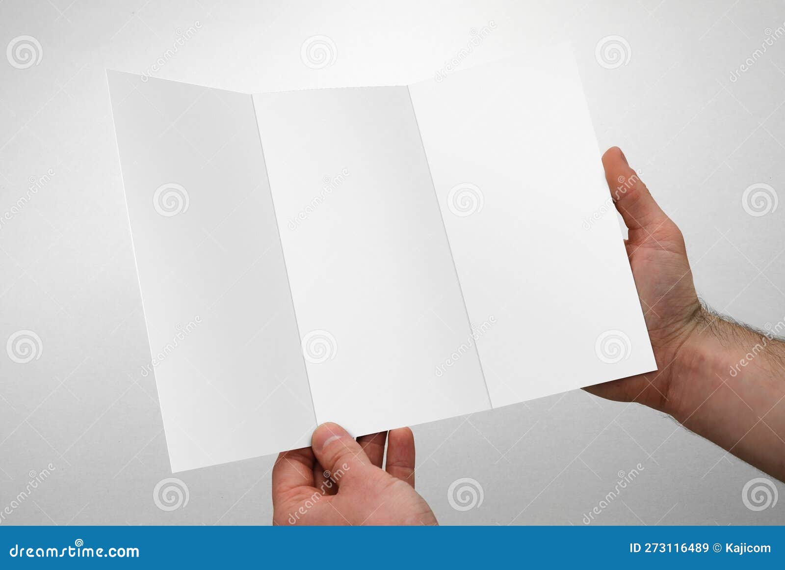 3D Visualization Tri Fold Blank Template, Euro Booklet, A4 Flyer Size ...