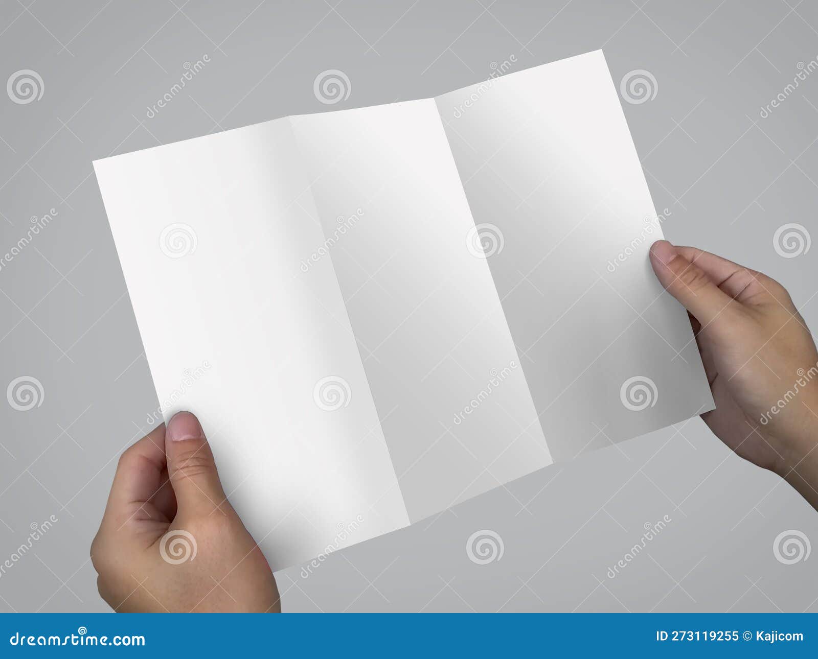 DL Tri-Fold Brochure with Hand Stock Image - Image of visualization ...