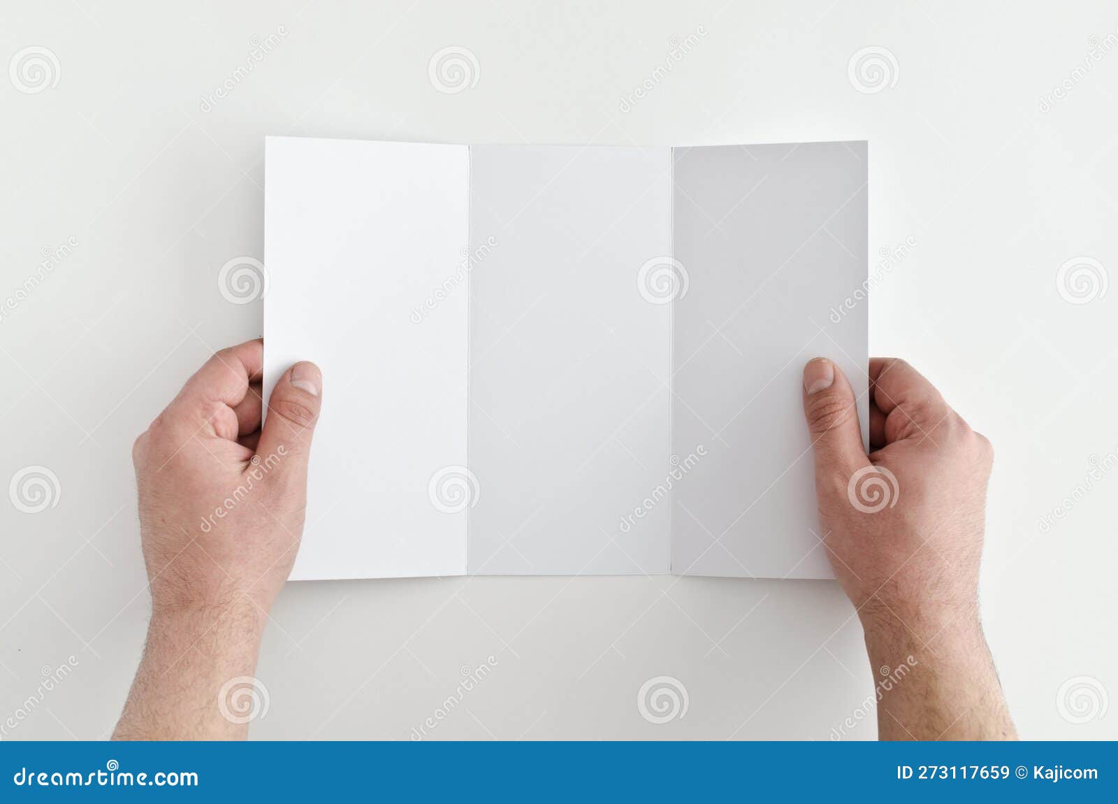 DL Tri-Fold Brochure with Hand Stock Image - Image of brochure ...