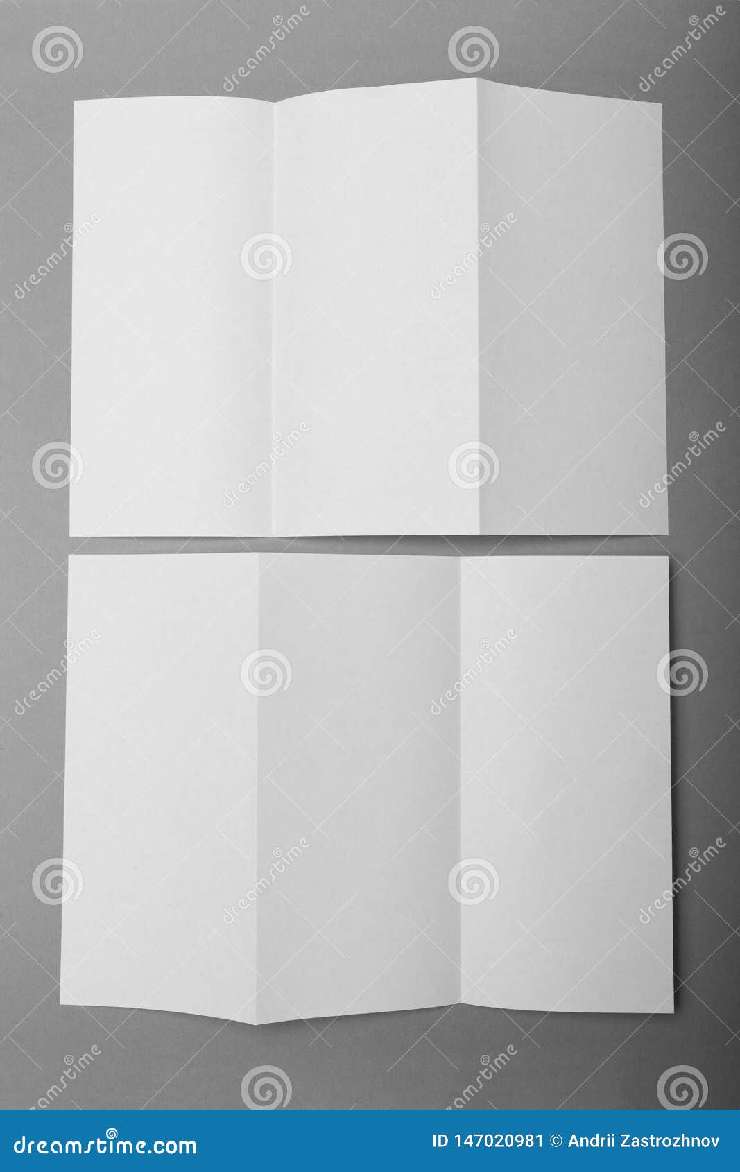Dl Trifold Mockup Flyer Leaflet. Front and Back Pages Stock Image ...