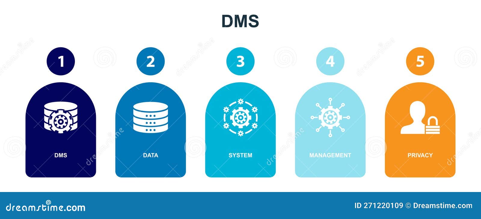 DMS, Data, System, Management, Privacy Stock Vector - Illustration of ...