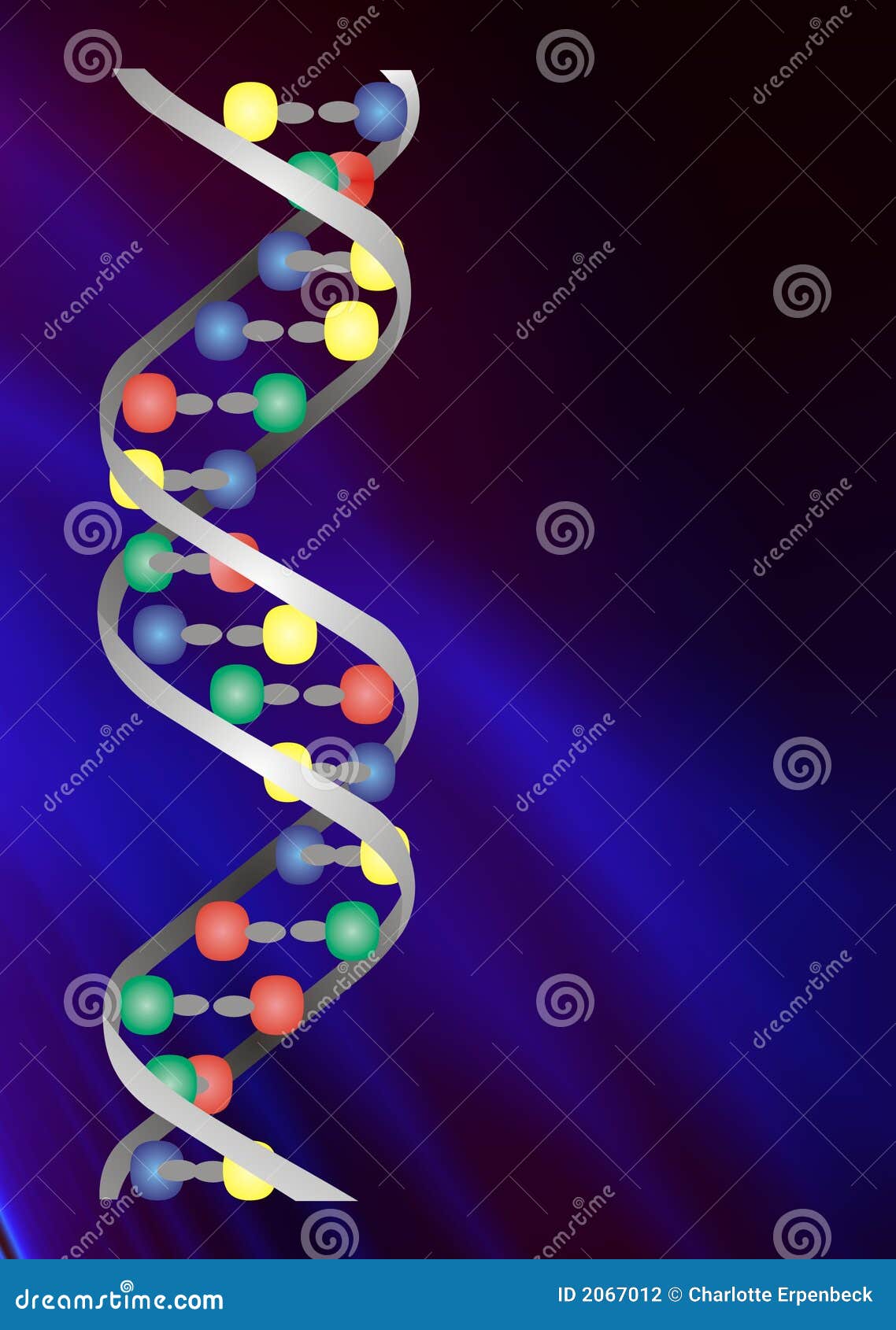 DNA Royalty-Free Illustration | CartoonDealer.com #2067012