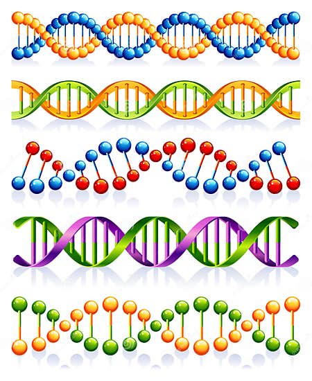 DNA stock vector. Illustration of research, model, medical - 20838039
