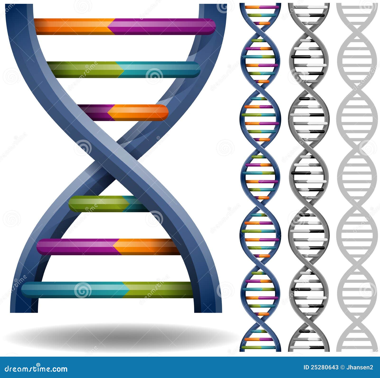 DNA stock vector. Illustration of code, acid, macromolecule - 25280643