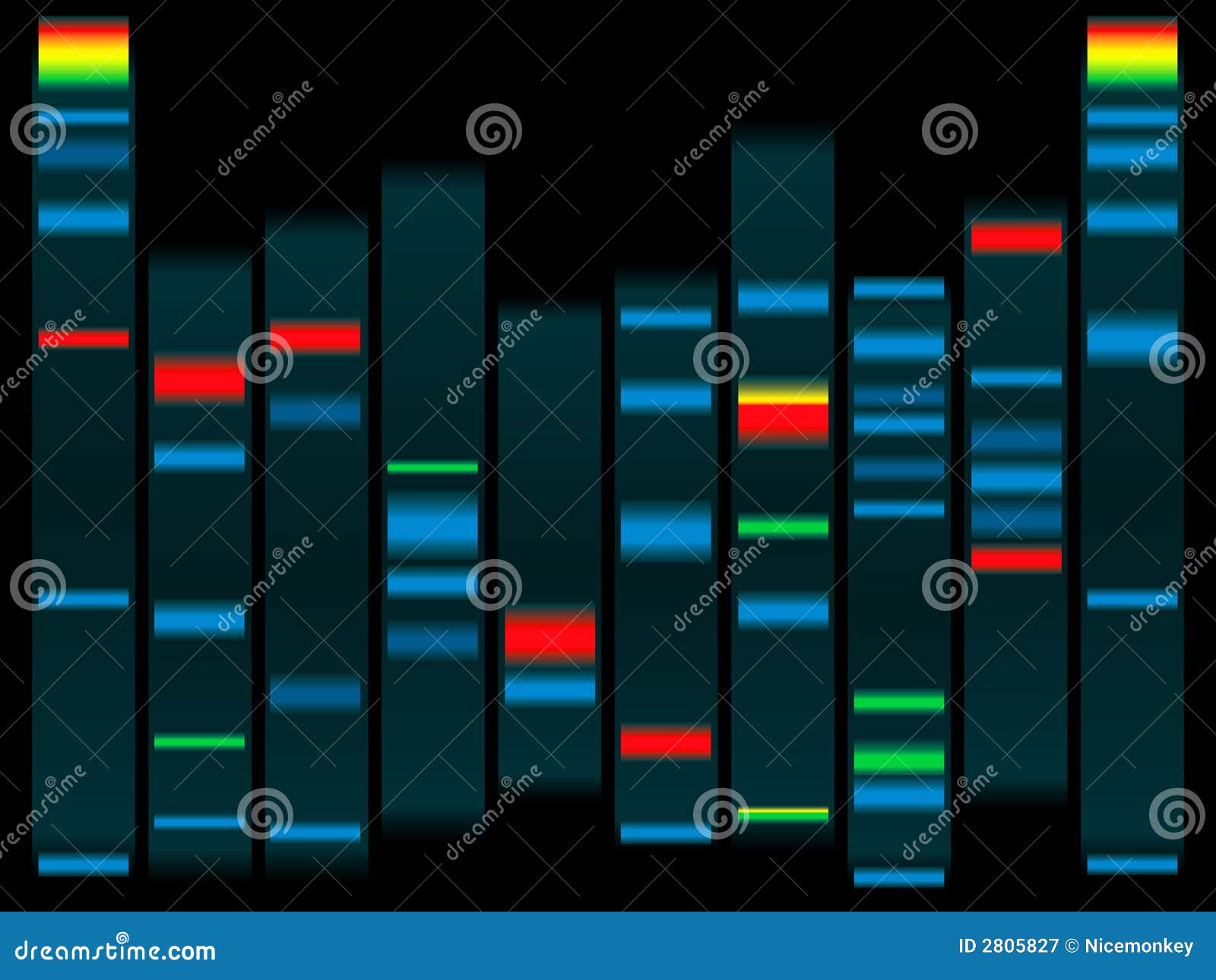 DNA Fingerprinting And Testing Conceptual Illustration. Cartoon Vector ...