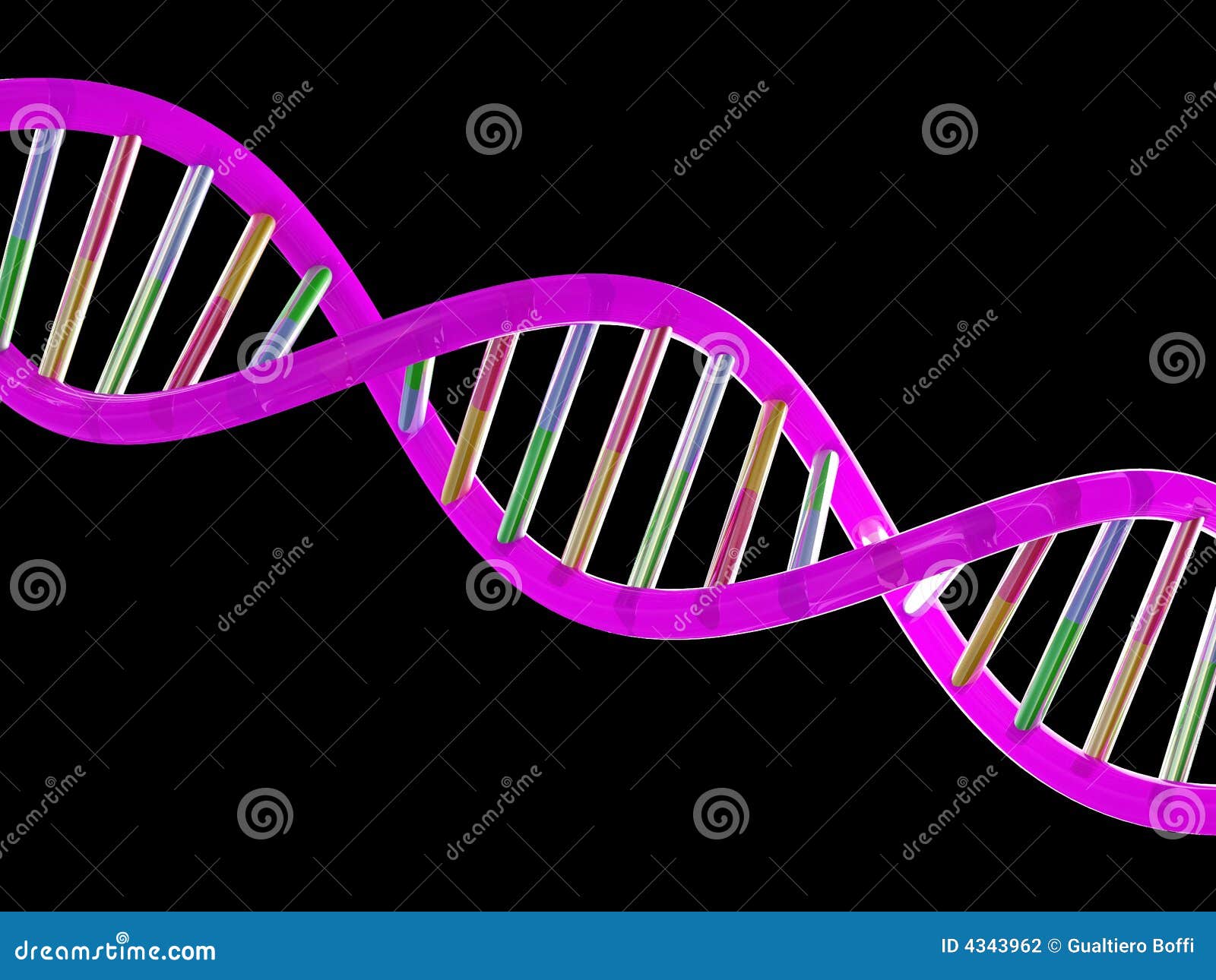 Dna Royalty-Free Stock Image | CartoonDealer.com #4343962