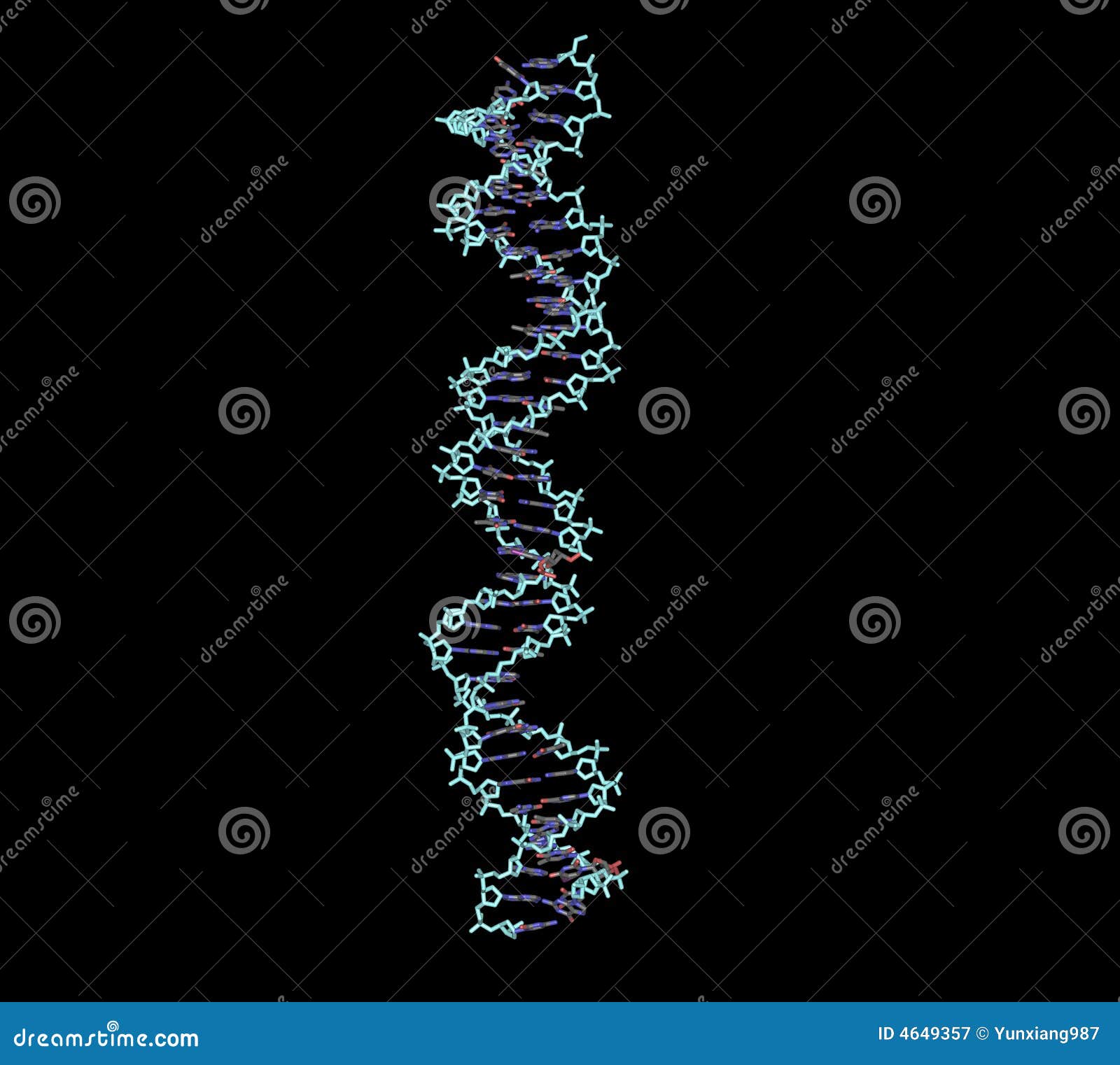 DNA Royalty-Free Stock Photography | CartoonDealer.com #4649357