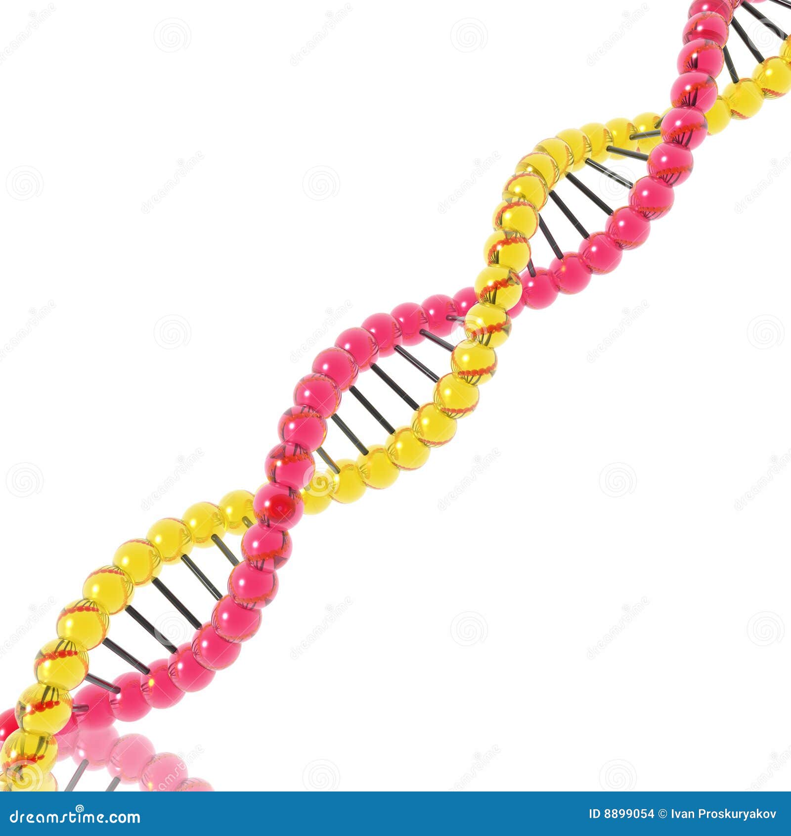 Dna Royalty-Free Stock Image | CartoonDealer.com #8899054