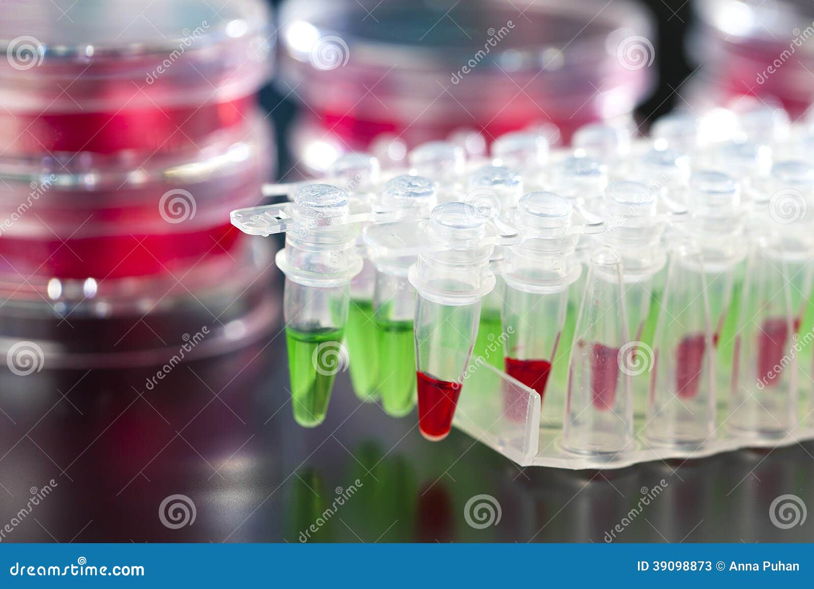 DNA amplification by PCR stock image. Image of plate - 39098873