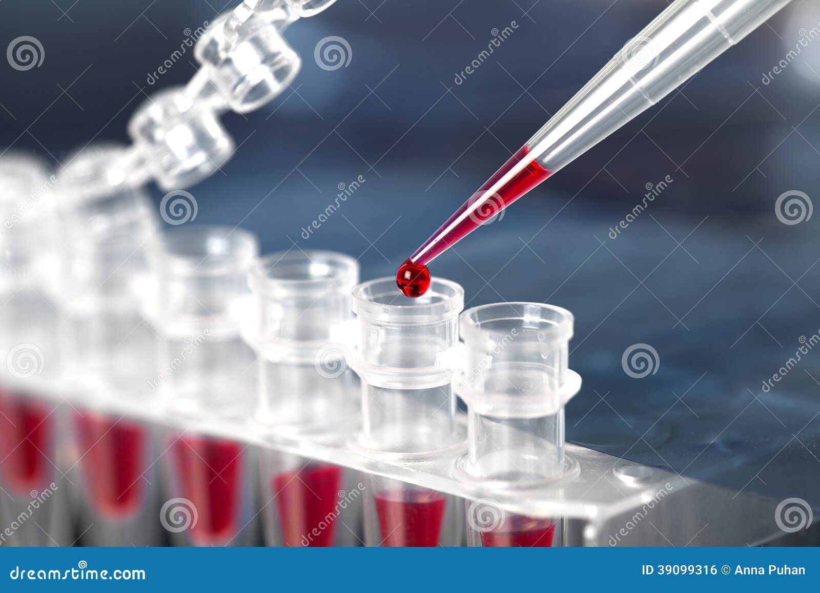 DNA amplification by PCR stock photo. Image of sample - 39099316